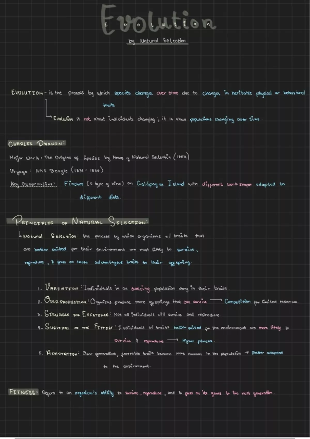 Evolution by Natural Selection – Complete Notes on Darwin’s Theory ...