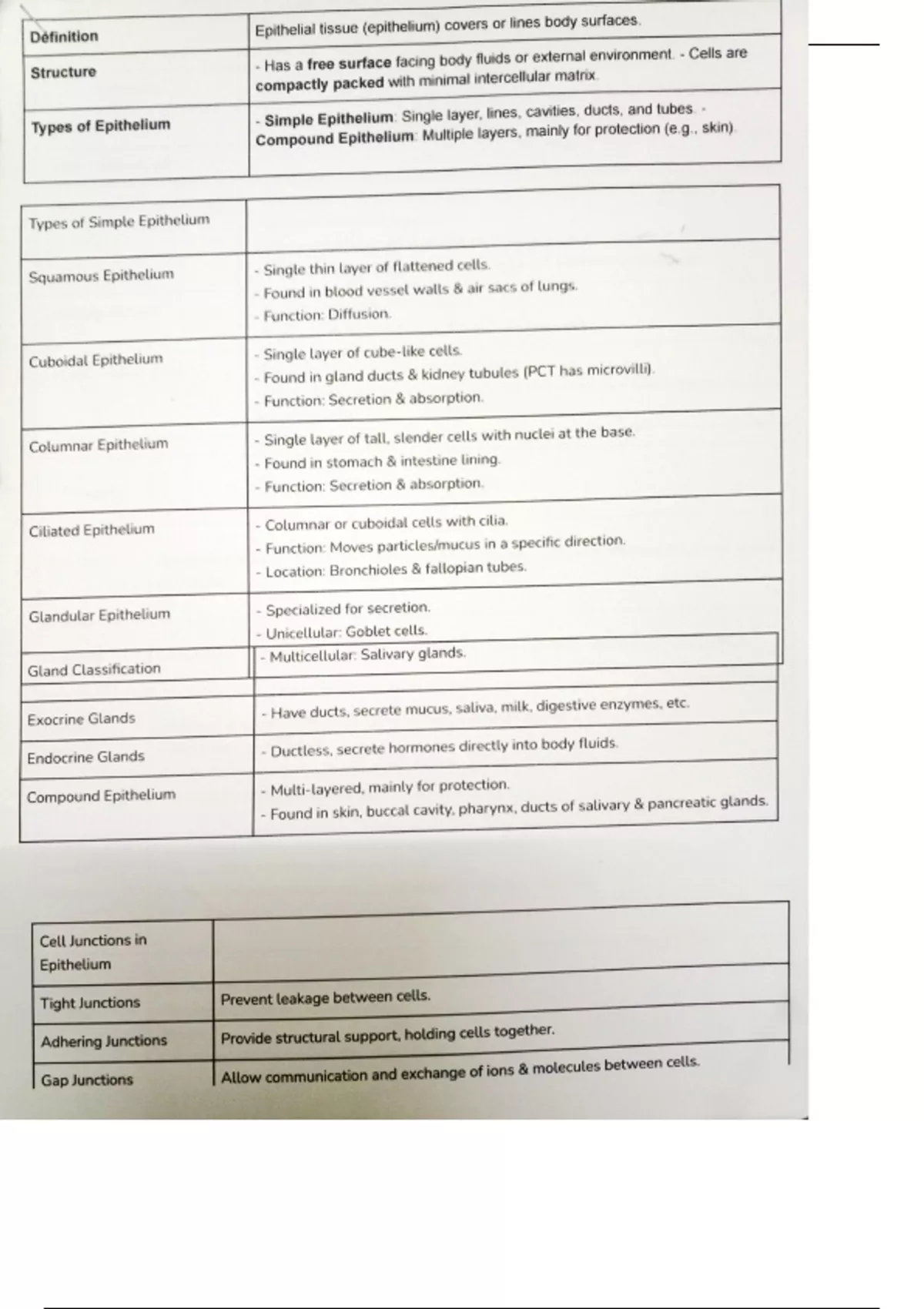 Summary Animal Tissues | Class 11 Biology Notes | NEET & CBSE Aligned ...