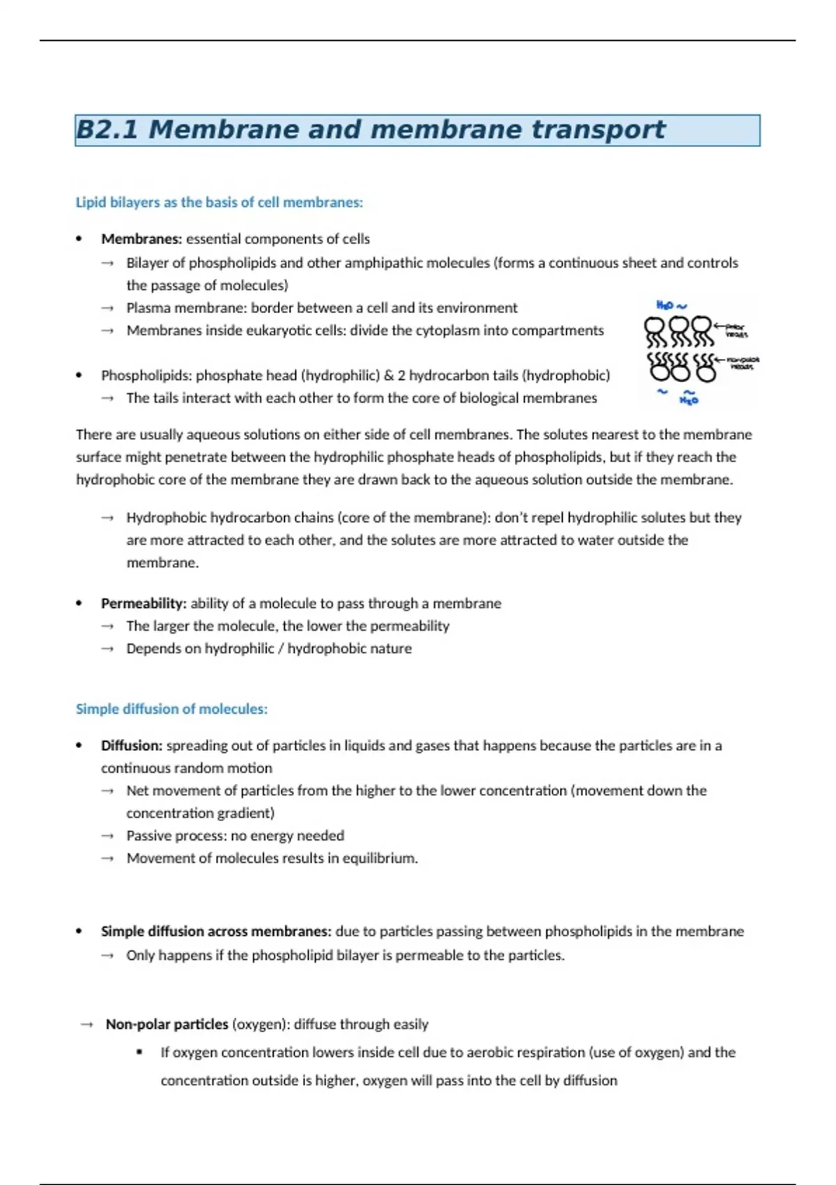 IB BIOLOGY B2.1 membrane & membrane transport - International ...