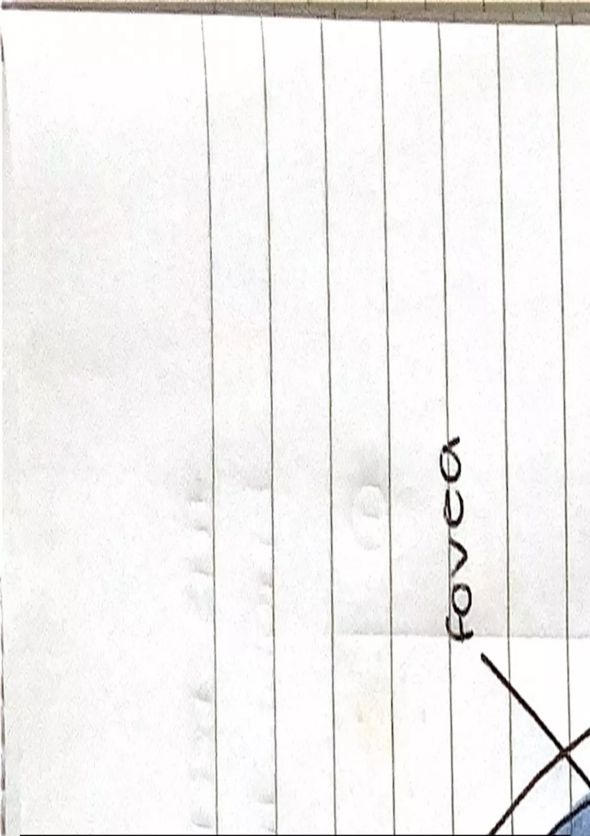 AQA GCSE BIOLOGY THE EYE GRADE 9 NOTES TOPIC 5 - Science - Stuvia UK