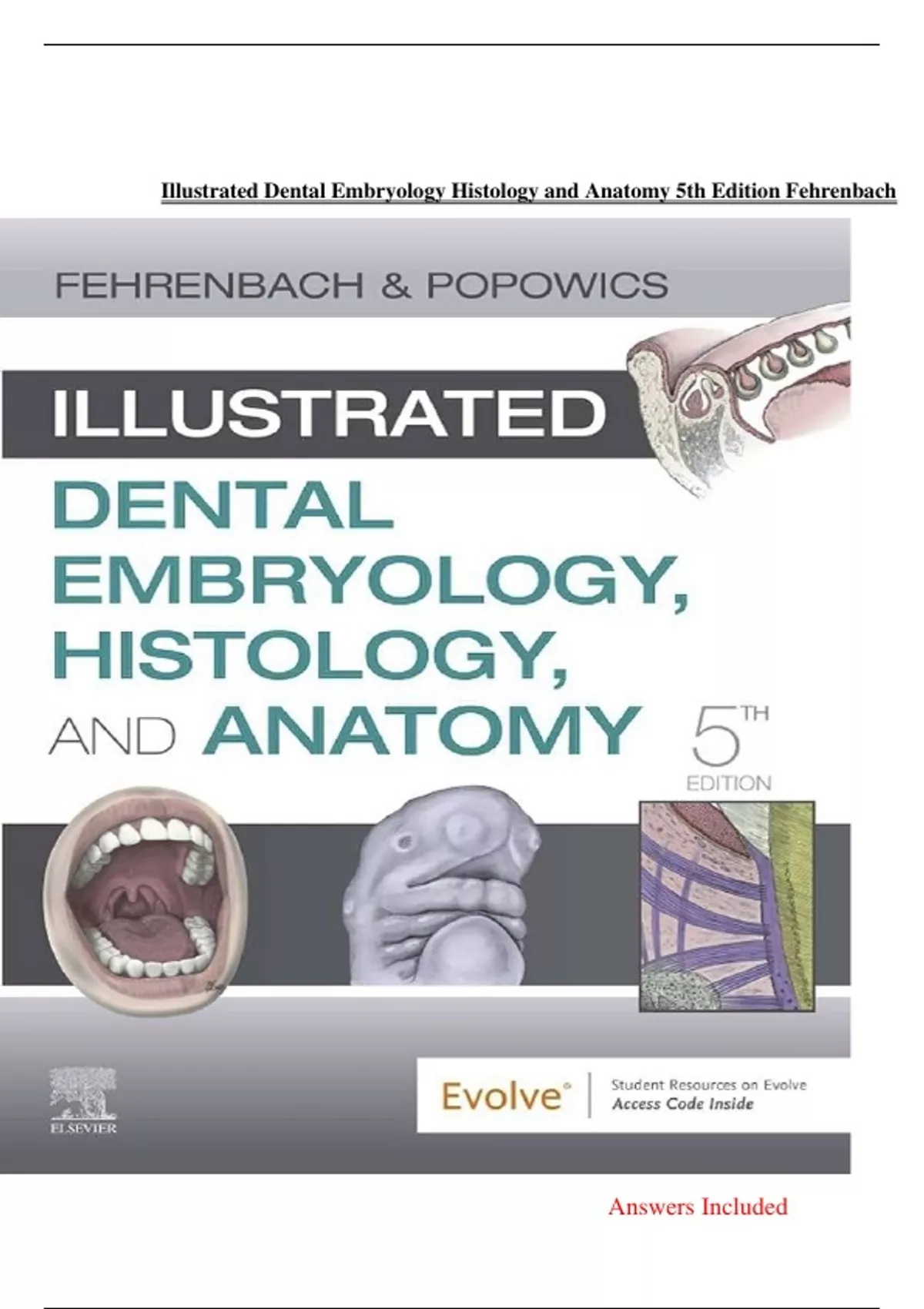 Illustrated Dental Embryology, Histology, and Anatomy Test Bank 5th ...