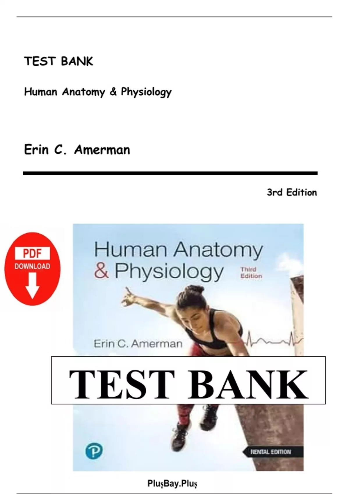 Test Bank for Human Anatomy & Physiology 3rd Edition By Amerman.( CH 1 ...