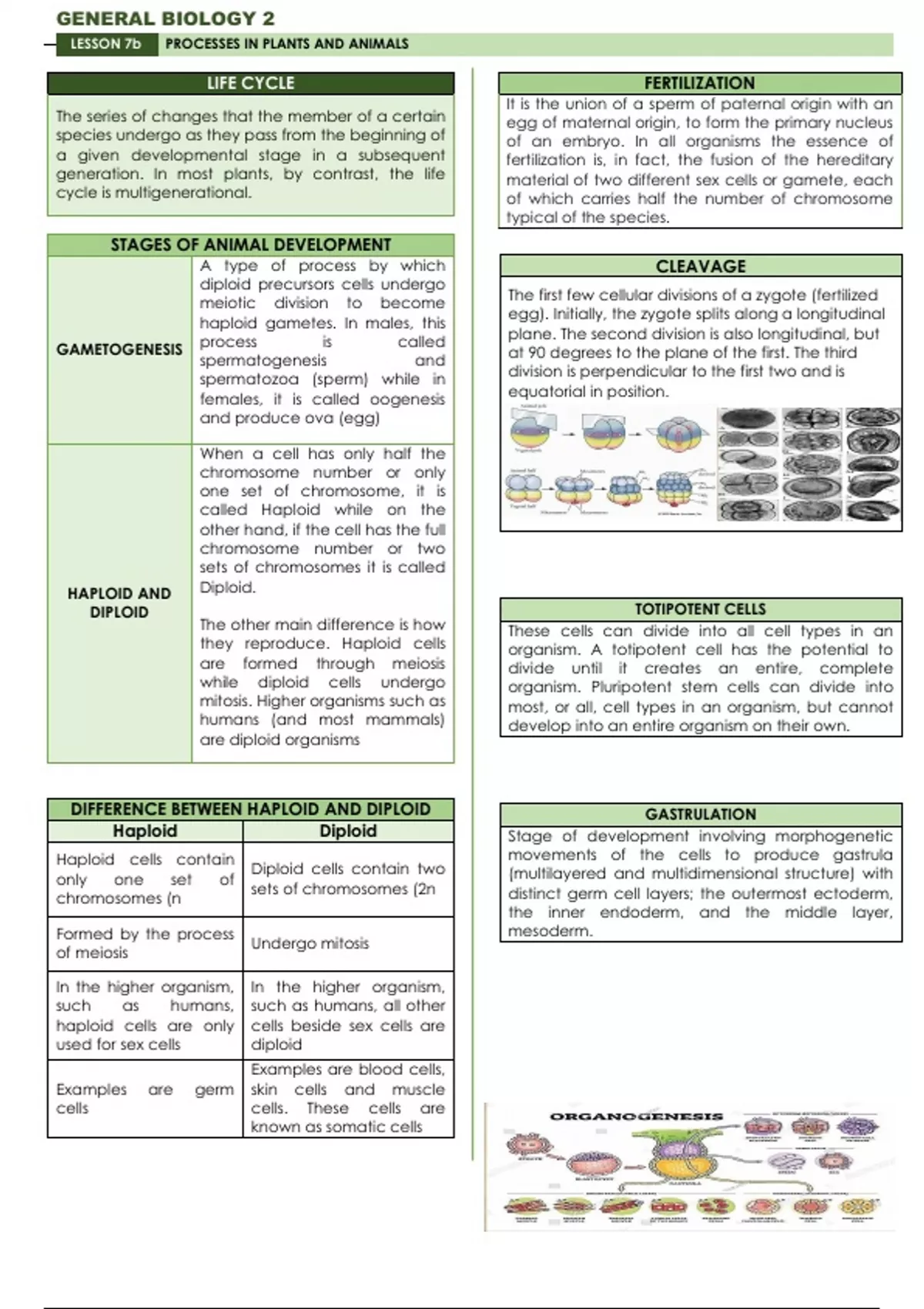 General Biology 2 – Lesson 7b: Processes in Plants and Animals ...