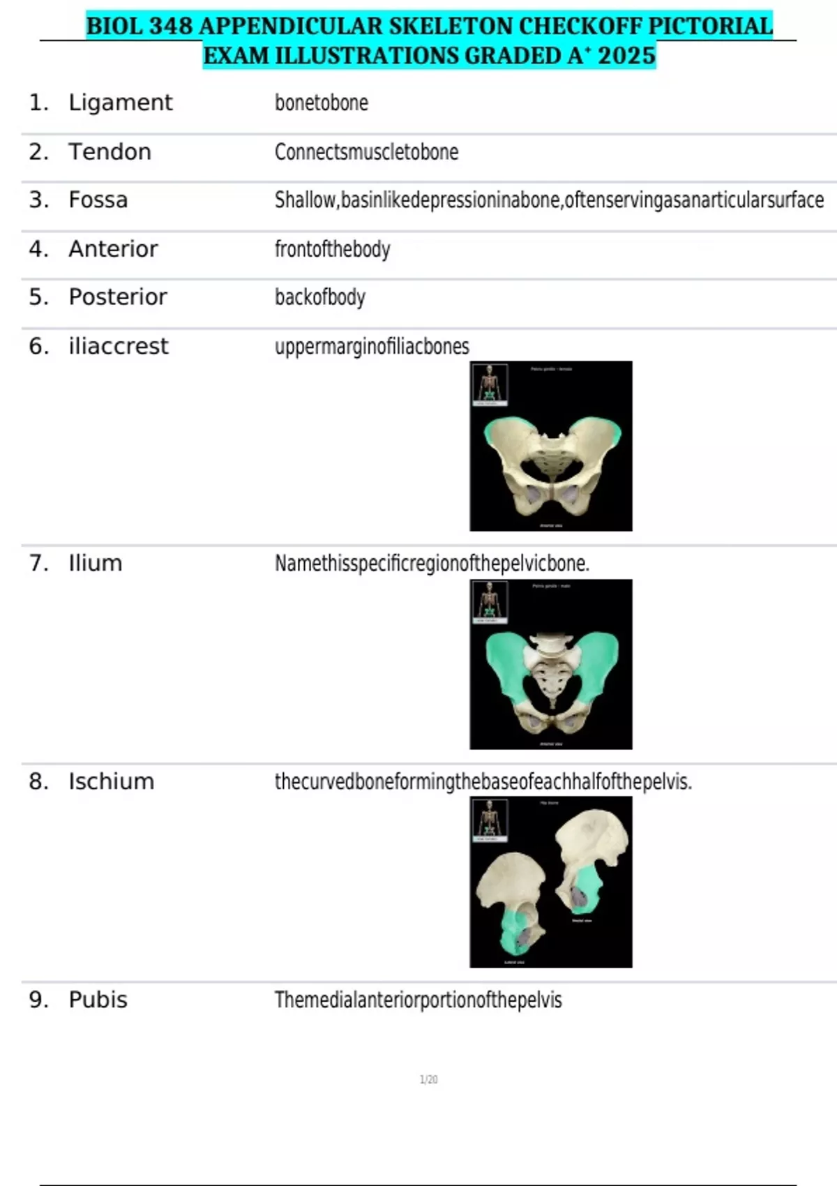 BIOL 348 APPENDICULAR SKELETON CHECKOFF PICTORIAL EXAM ILLUSTRATIONS ...