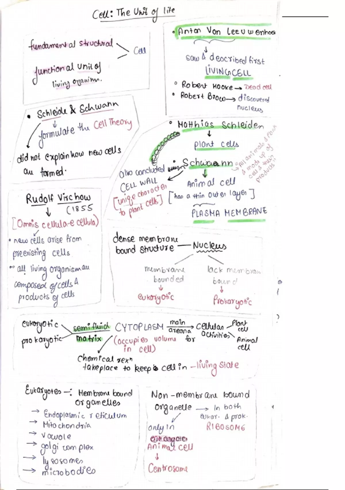 Cell the unit of life (NCERT 11th) - Science - Stuvia US