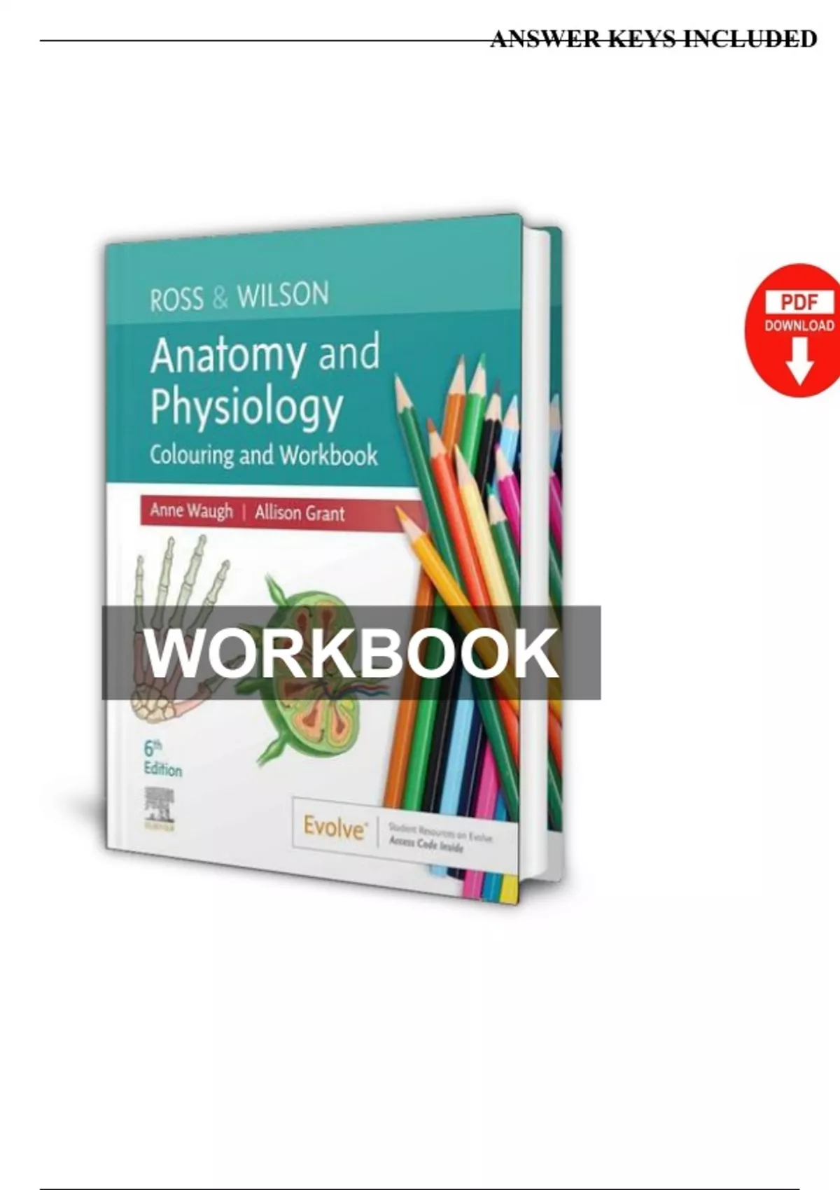 Ross & Wilson Anatomy and Physiology | Colouring and Workbook | 6th ...