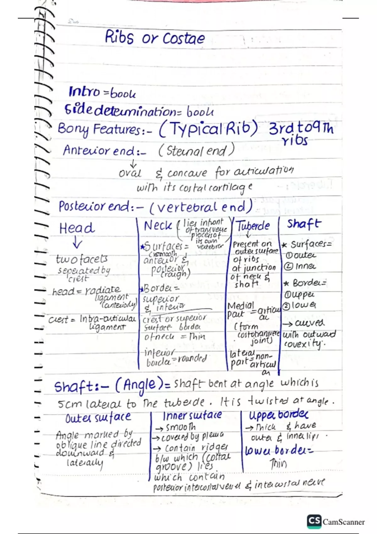 Anatomy(atypical ribs) lecture notes: - Anatomy, embryology ...