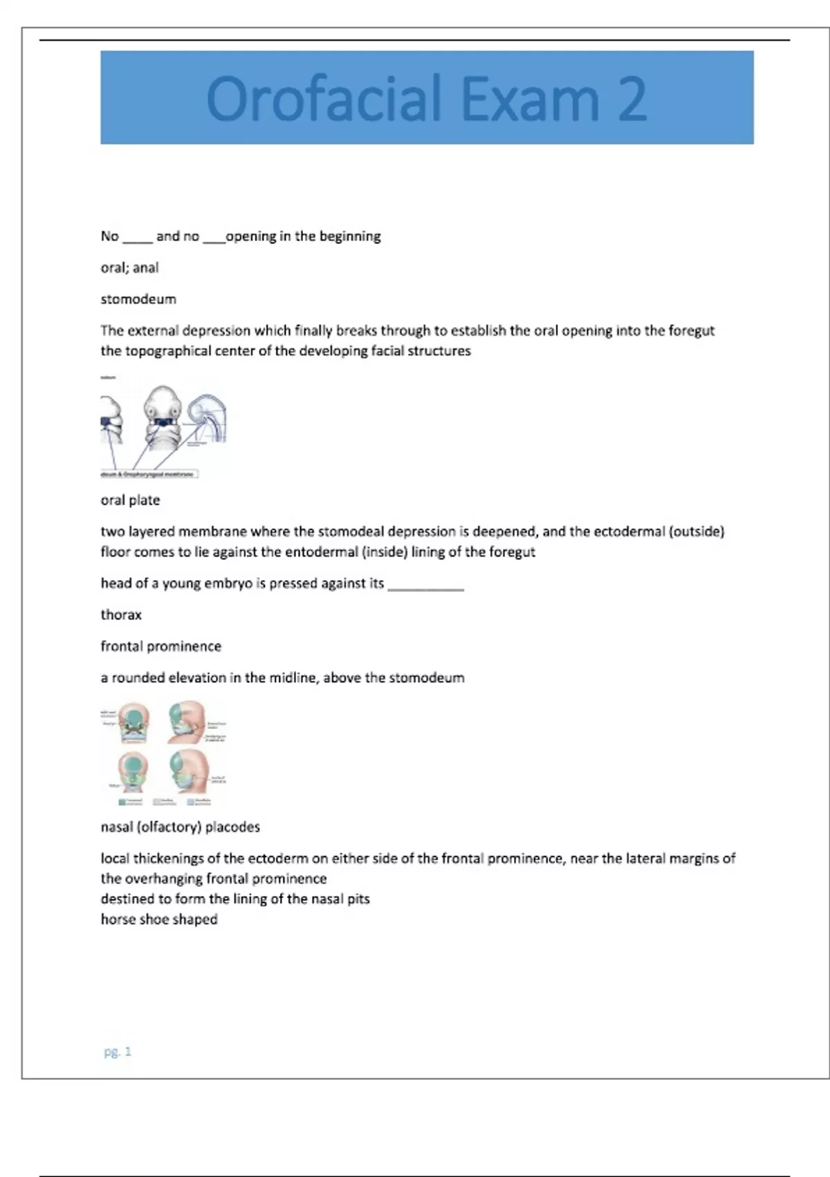 Orofacial Exam 2| Anatomy of Orofacial Structures (New 2025/2026 Update ...
