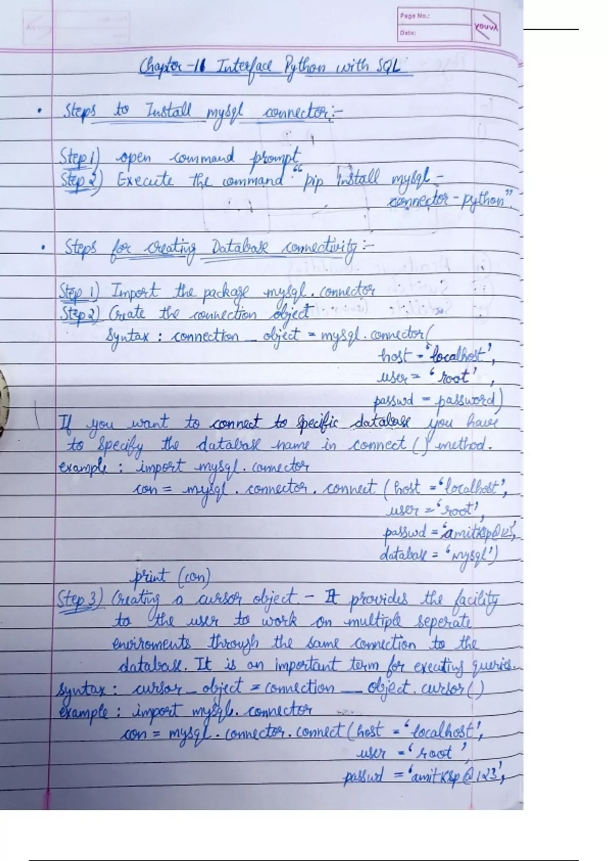 "Interface Python with SQL – Lecture Summary and Practical Examples" - Computer Science - Stuvia US