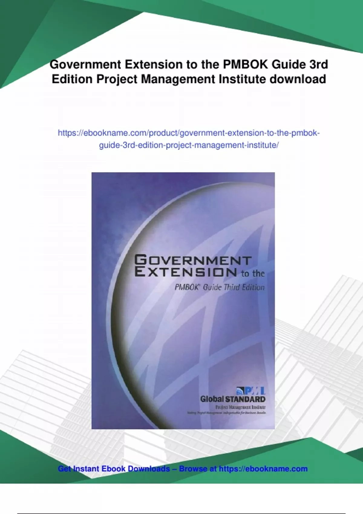 Summary Government Extension to the PMBOK Guide 3rd Edition Project ...