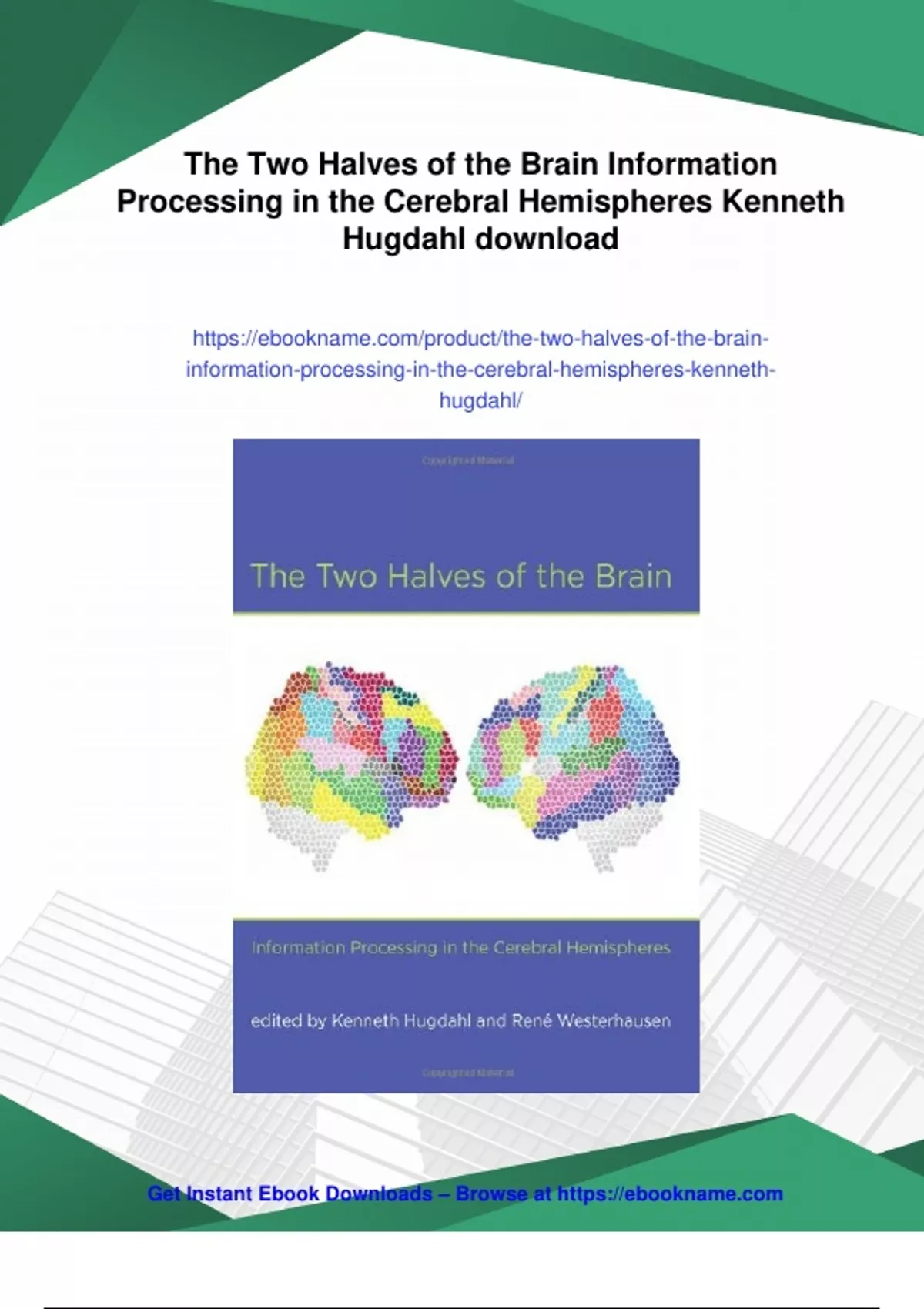 Summary The Two Halves of the Brain Information Processing in the Cerebral Hemispheres Kenneth ...