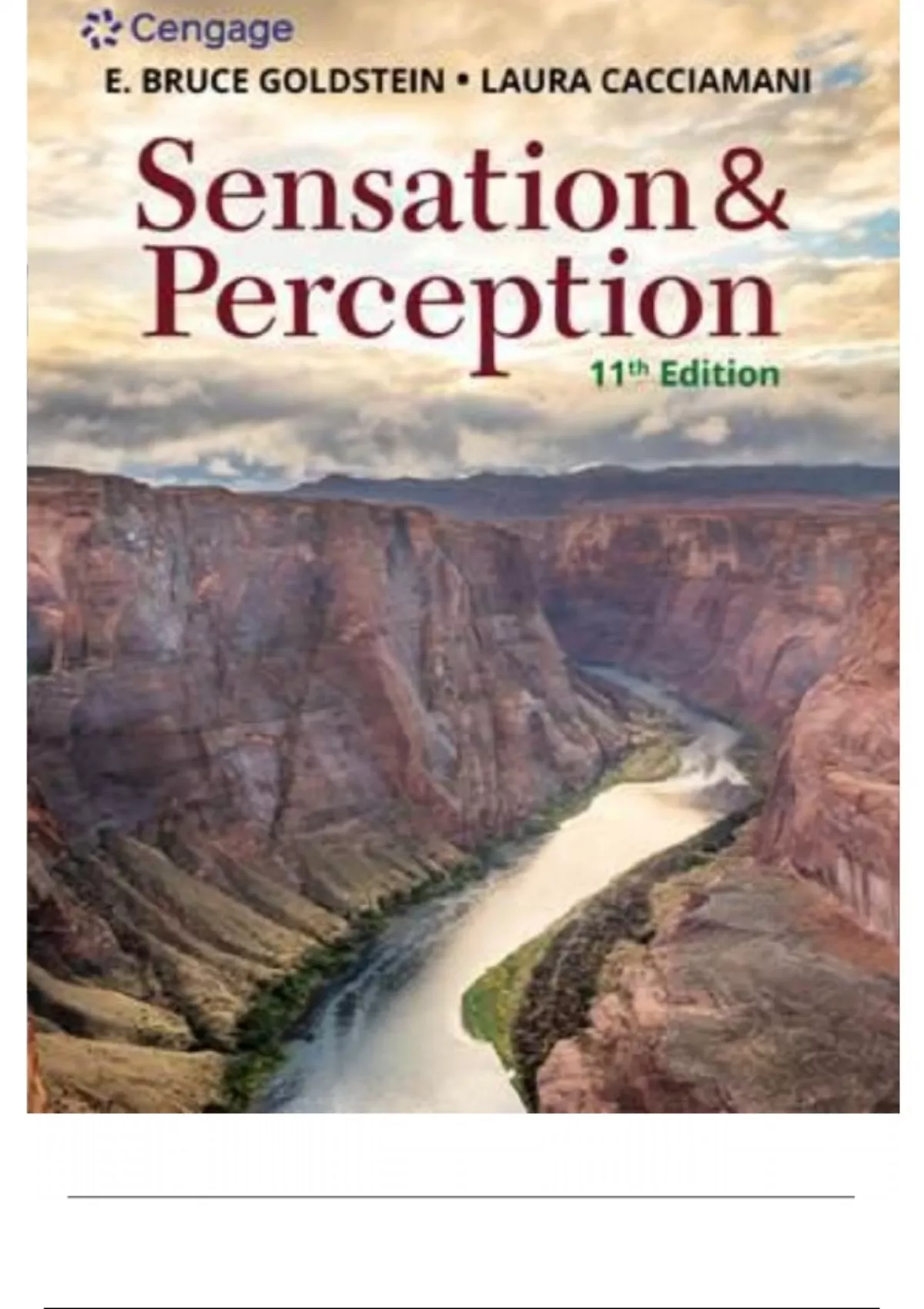 Test Bank For Sensation and Perception 11th Edition by E. Bruce ...