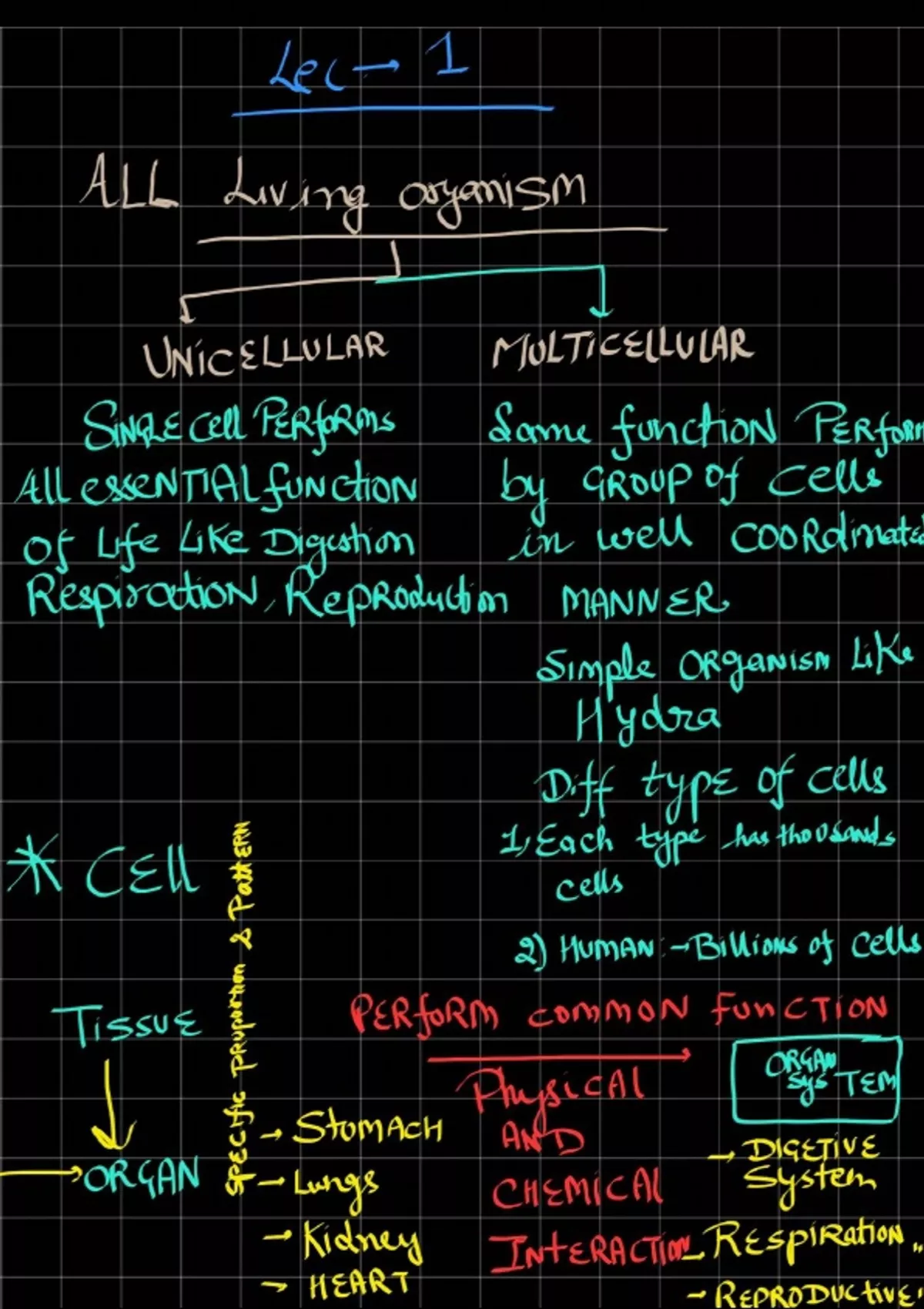 Structural Organisation in Animals – NEET Biology Class 11 Handwritten ...