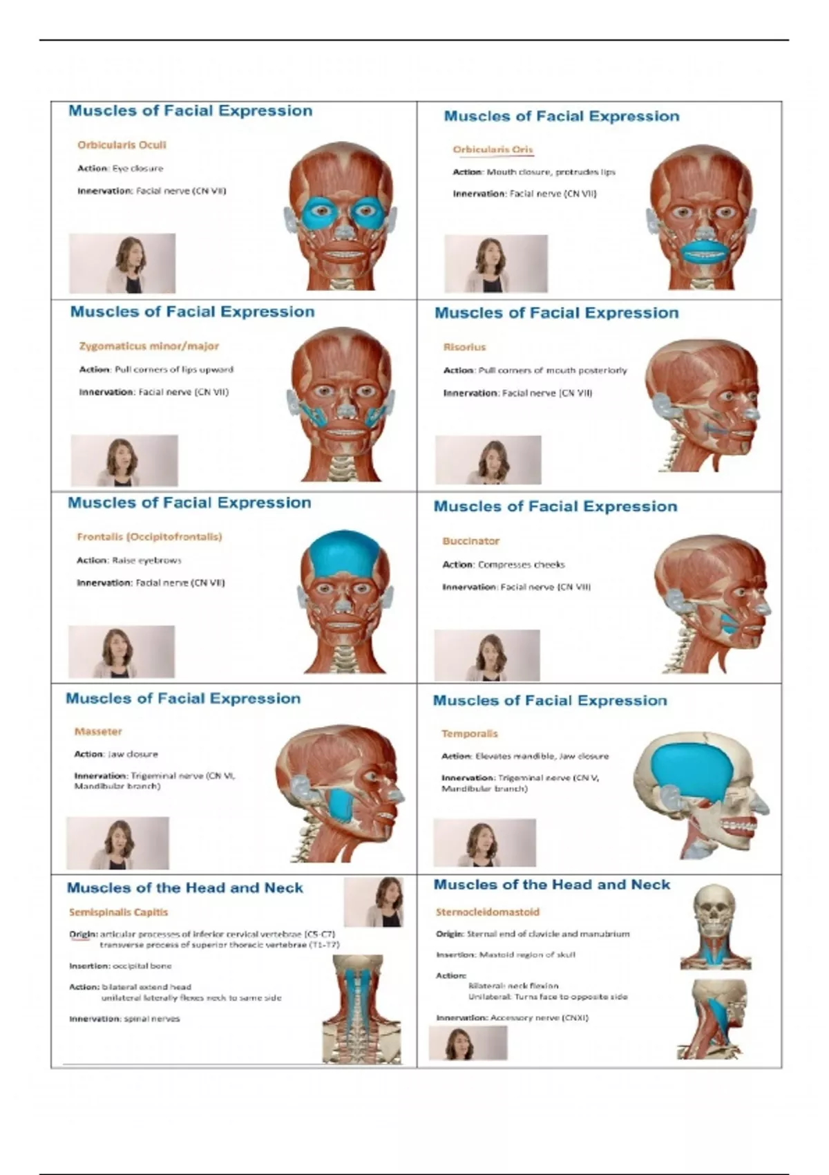 BIOD_151_Module_5_muscular_system_flash_cards With Complete Solutions ...