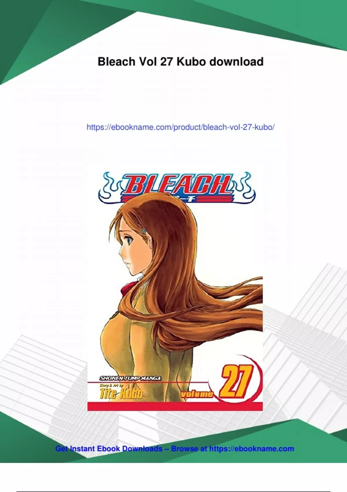 Summary Bleach Vol 27 Kubo - Digital Download - Ebookname - Stuvia US