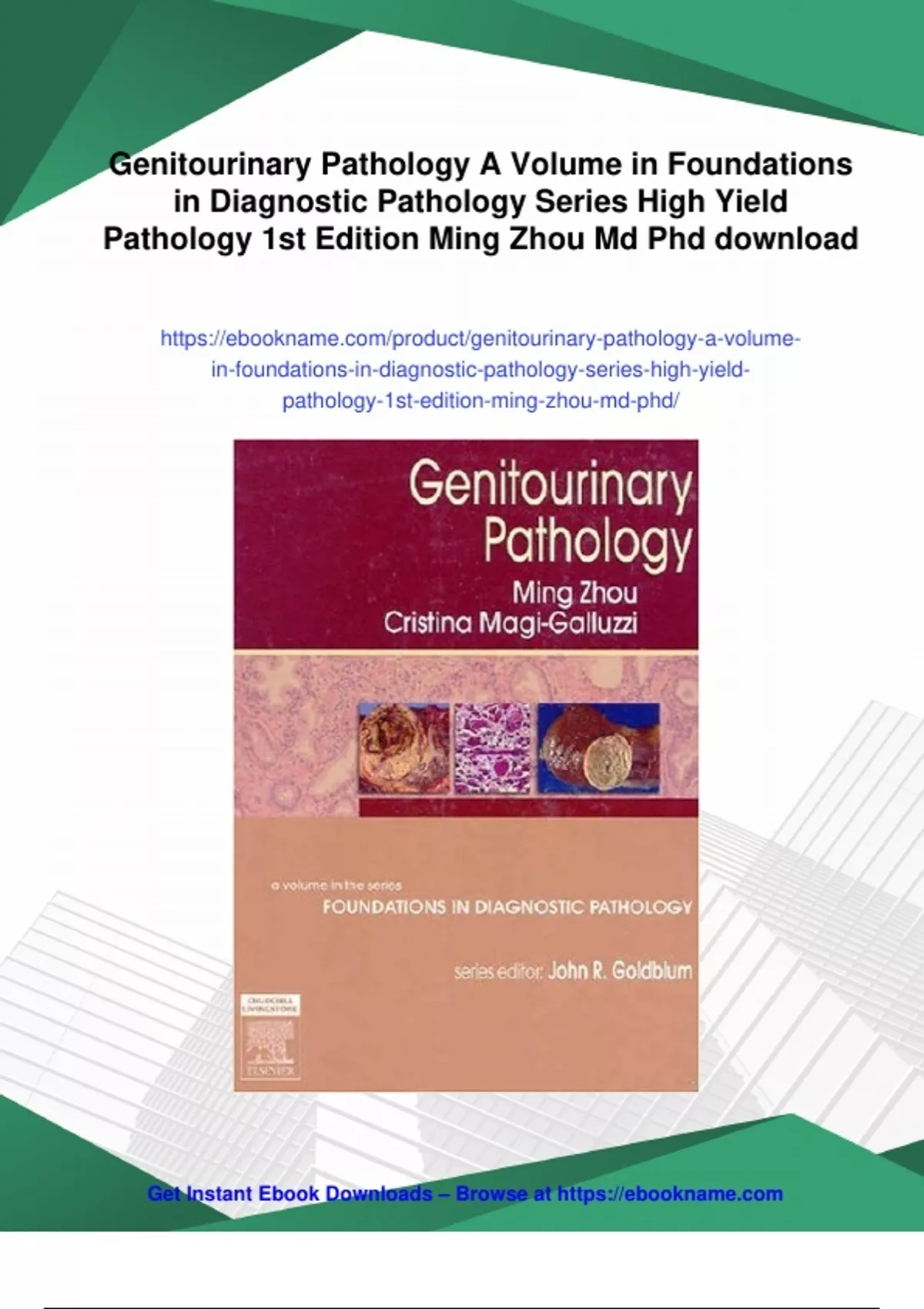 Summary Genitourinary Pathology A Volume in Foundations in Diagnostic ...