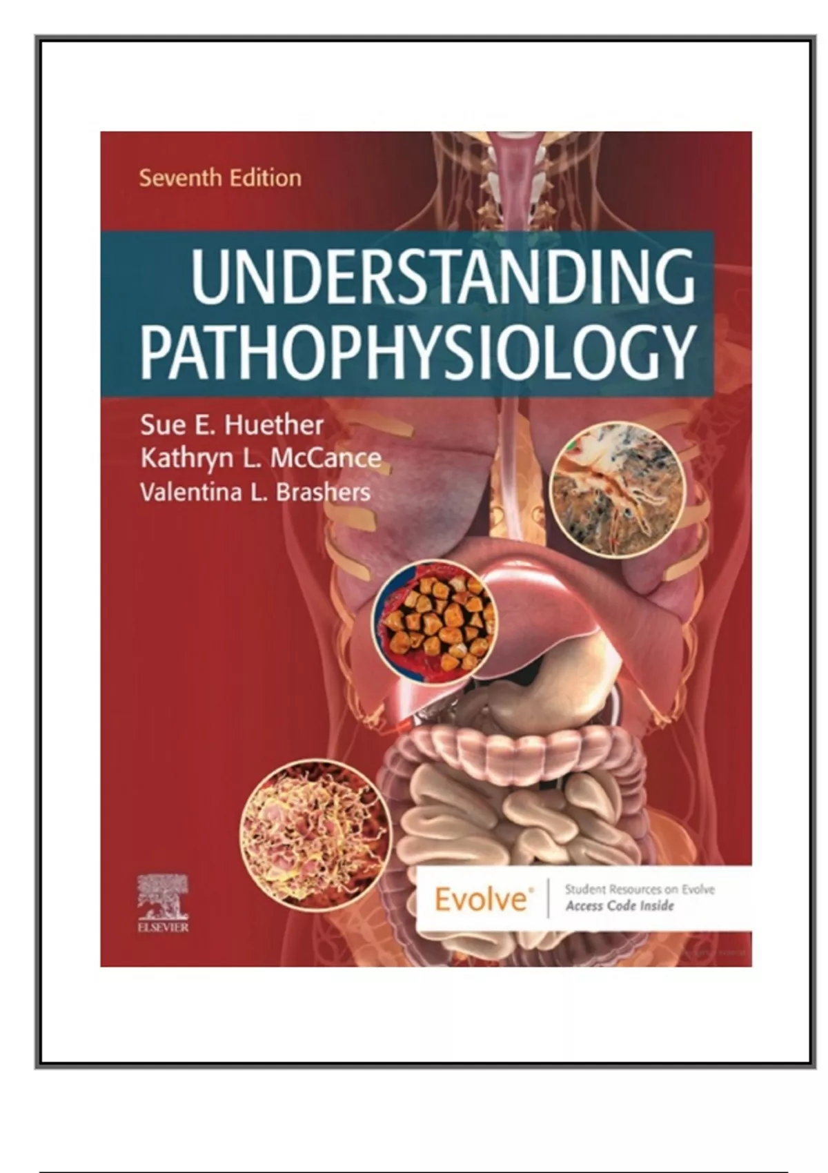 Complete Test Bank for Understanding Pathophysiology (7th Edition) by ...