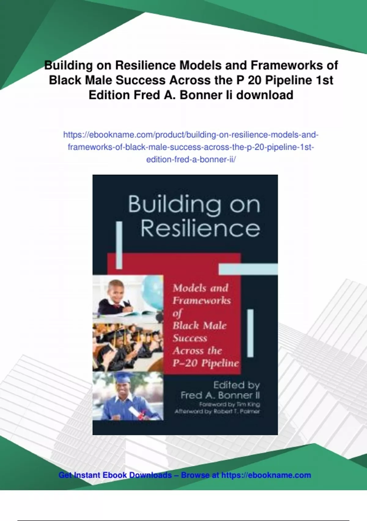 Summary Building on Resilience Models and Frameworks of Black Male ...