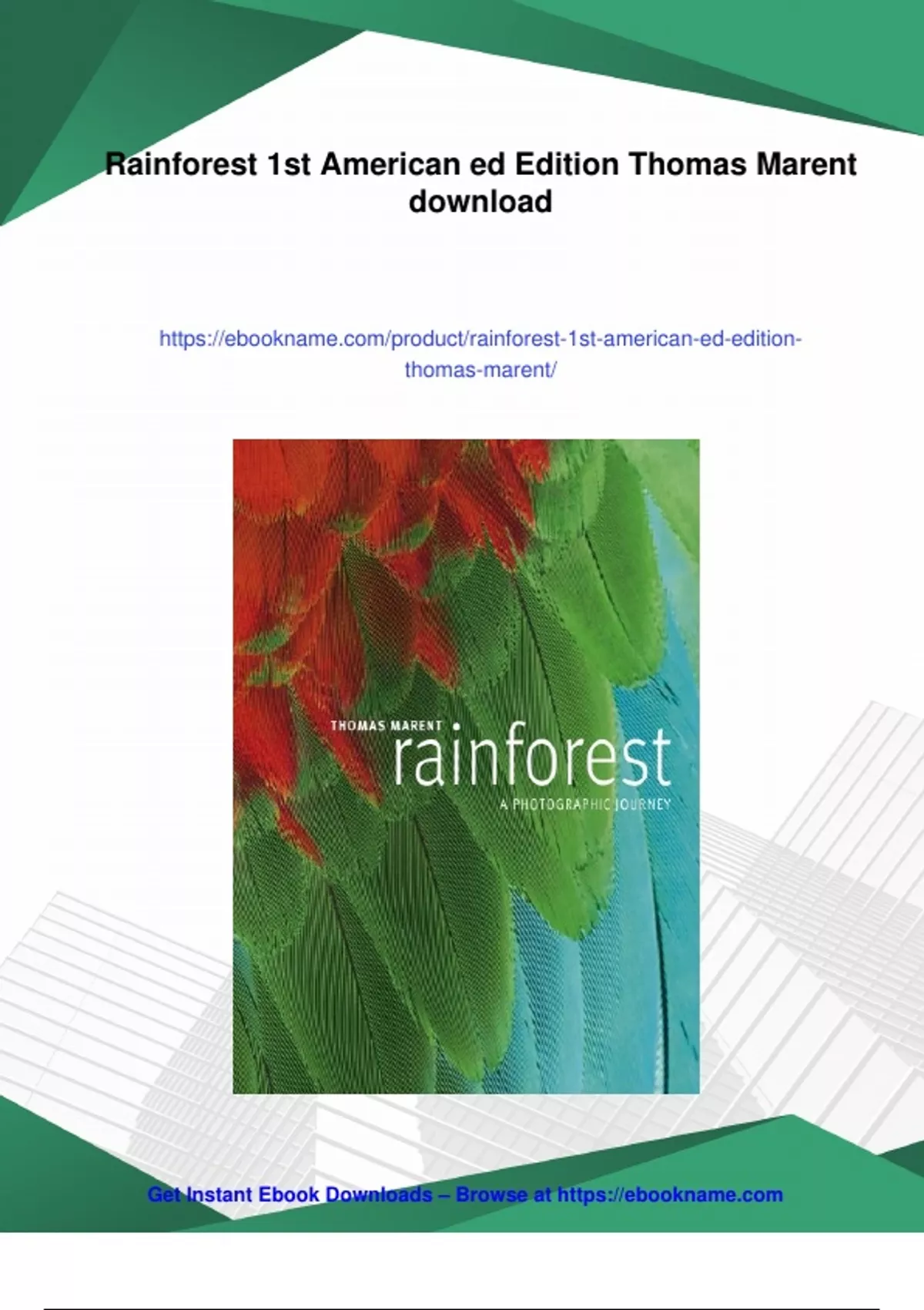Summary Rainforest 1st American ed Edition Thomas Marent - Digital ...