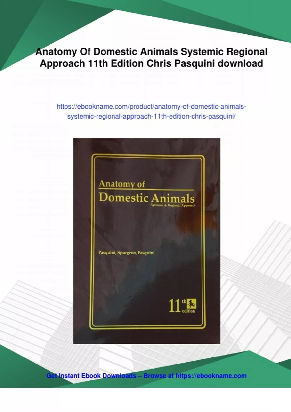 Summary Anatomy Of Domestic Animals Systemic Regional Approach 11th ...