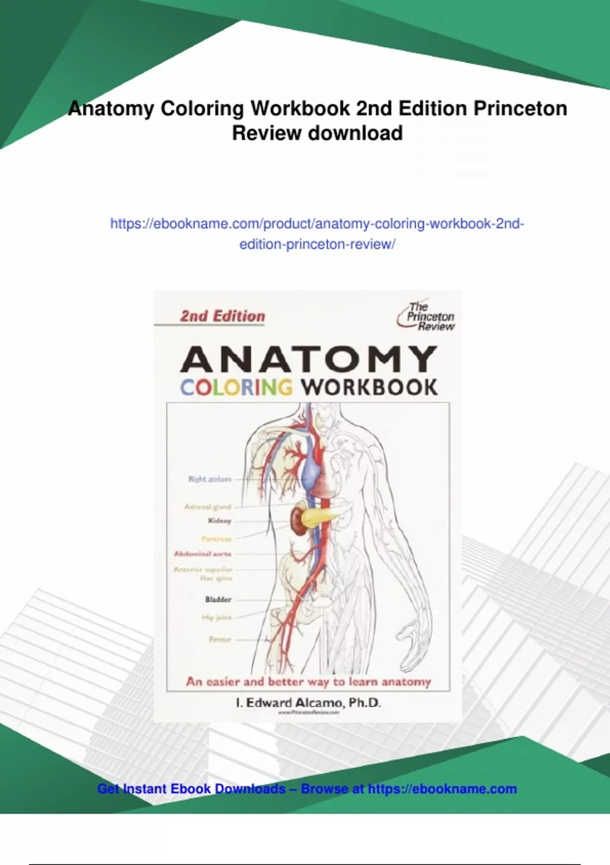 Summary Anatomy Coloring Workbook 2nd Edition Princeton Review ...