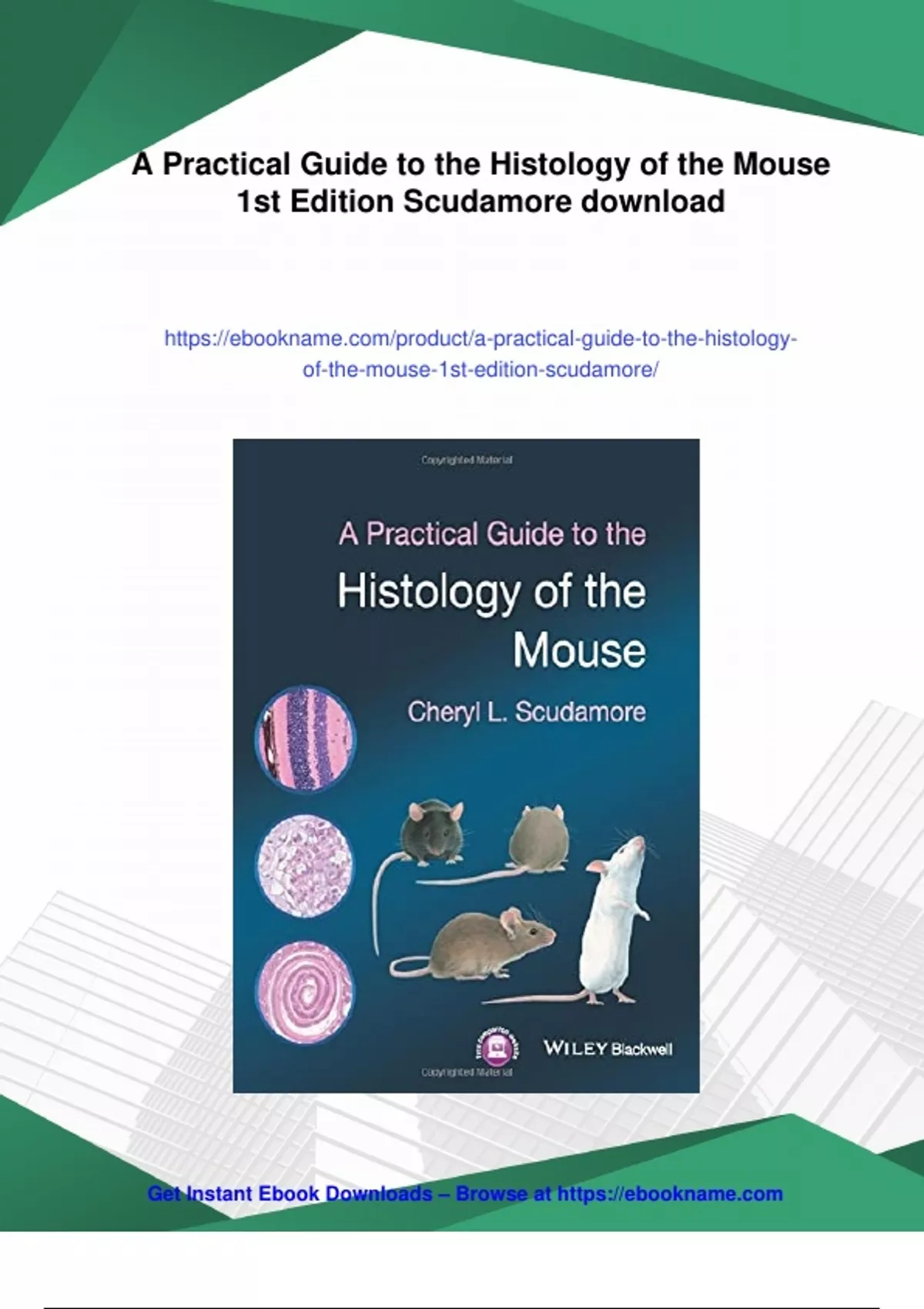 Summary A Practical Guide to the Histology of the Mouse 1st Edition ...