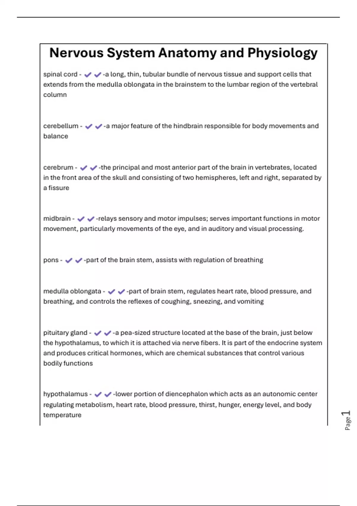 Nervous System Anatomy and Physiology - Nervous System Anatomy and ...