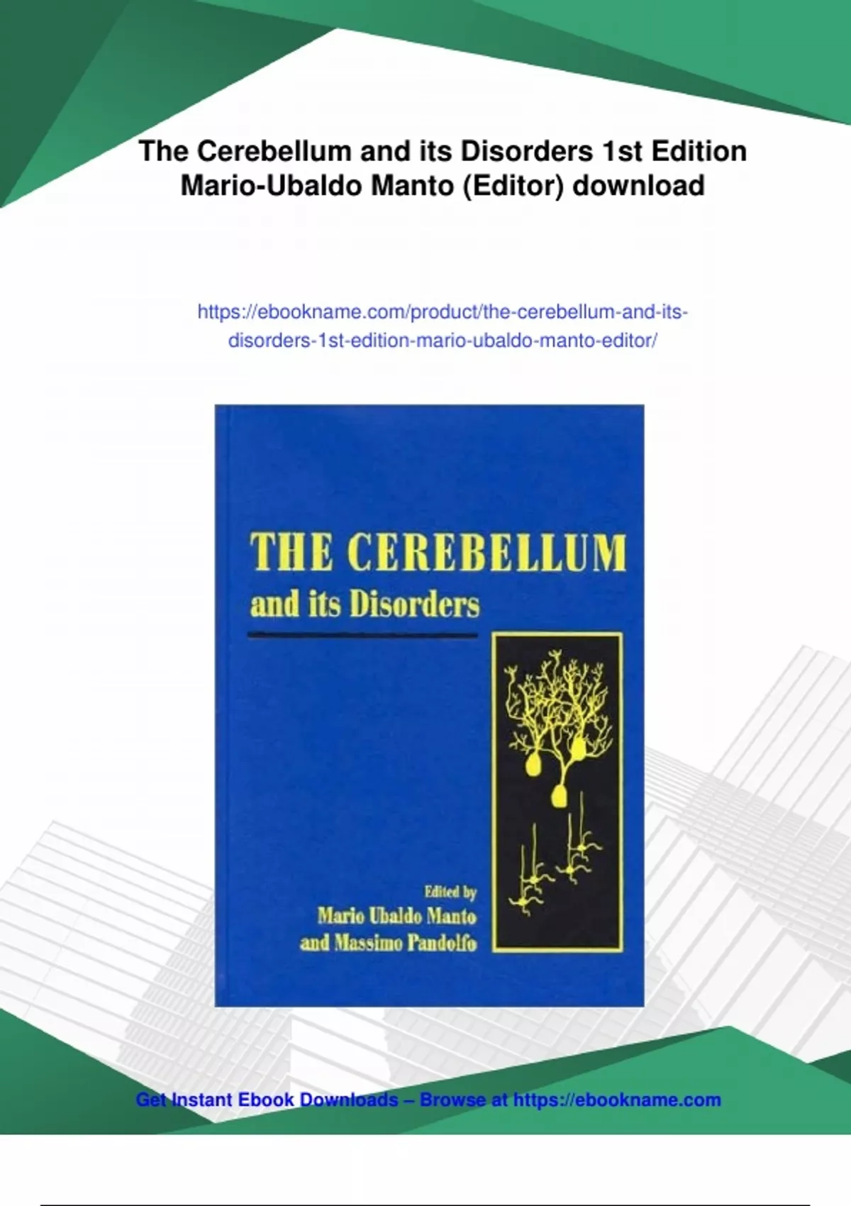 Summary The Cerebellum and its Disorders 1st Edition Mario-Ubaldo Manto ...