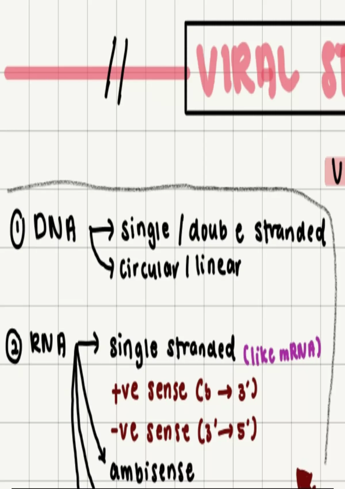 Viral structure and classification notes - MBBS - Stuvia US