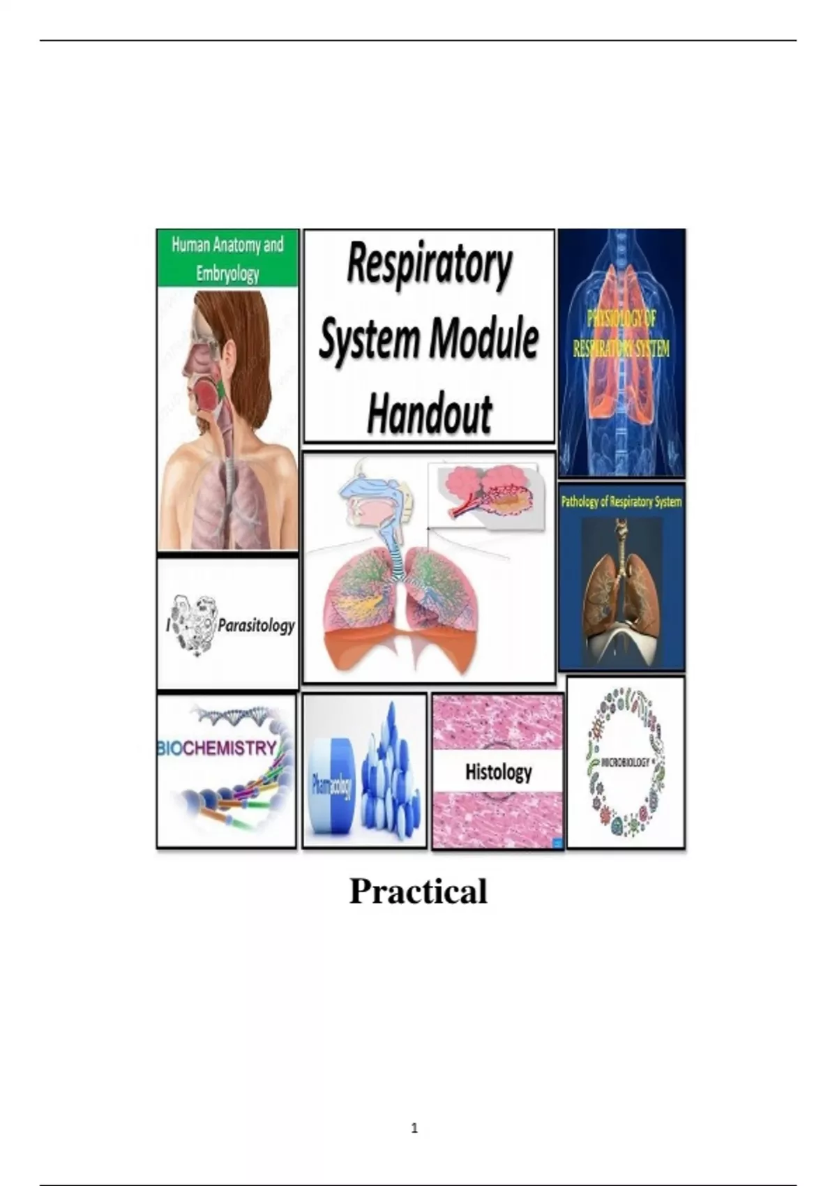 Summary Comprehensive Respiratory System Practical Handbook: Anatomy ...