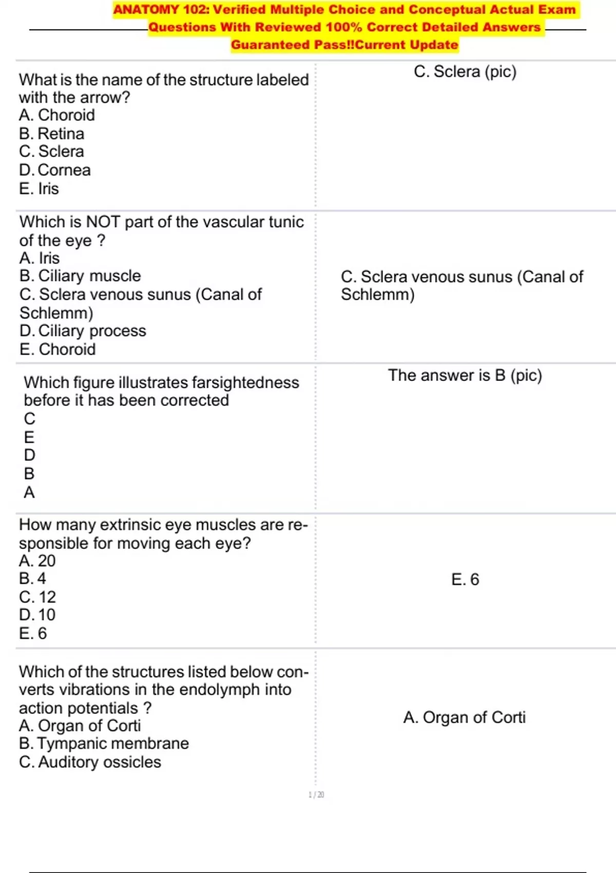 ANATOMY 102: Verified Multiple Choice and Conceptual Actual Exam ...