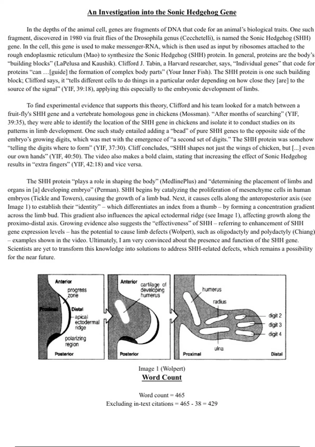 Summary Sonic Hedgehog Gene's Role in Shaping Embryonic Limb ...