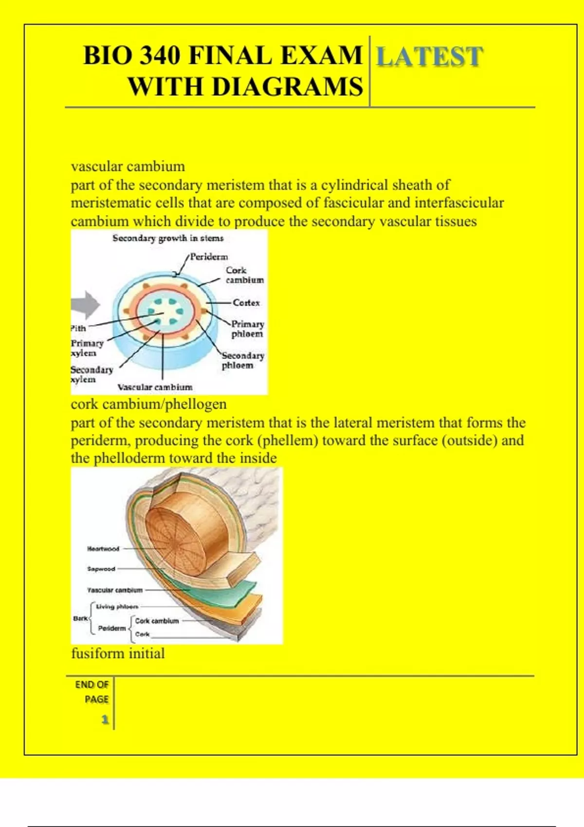 BIO 340 FINAL EXAM WITH DIAGRAMS QUESTIONS AND ANSWERS 2025 - Bio 340 - Stuvia US