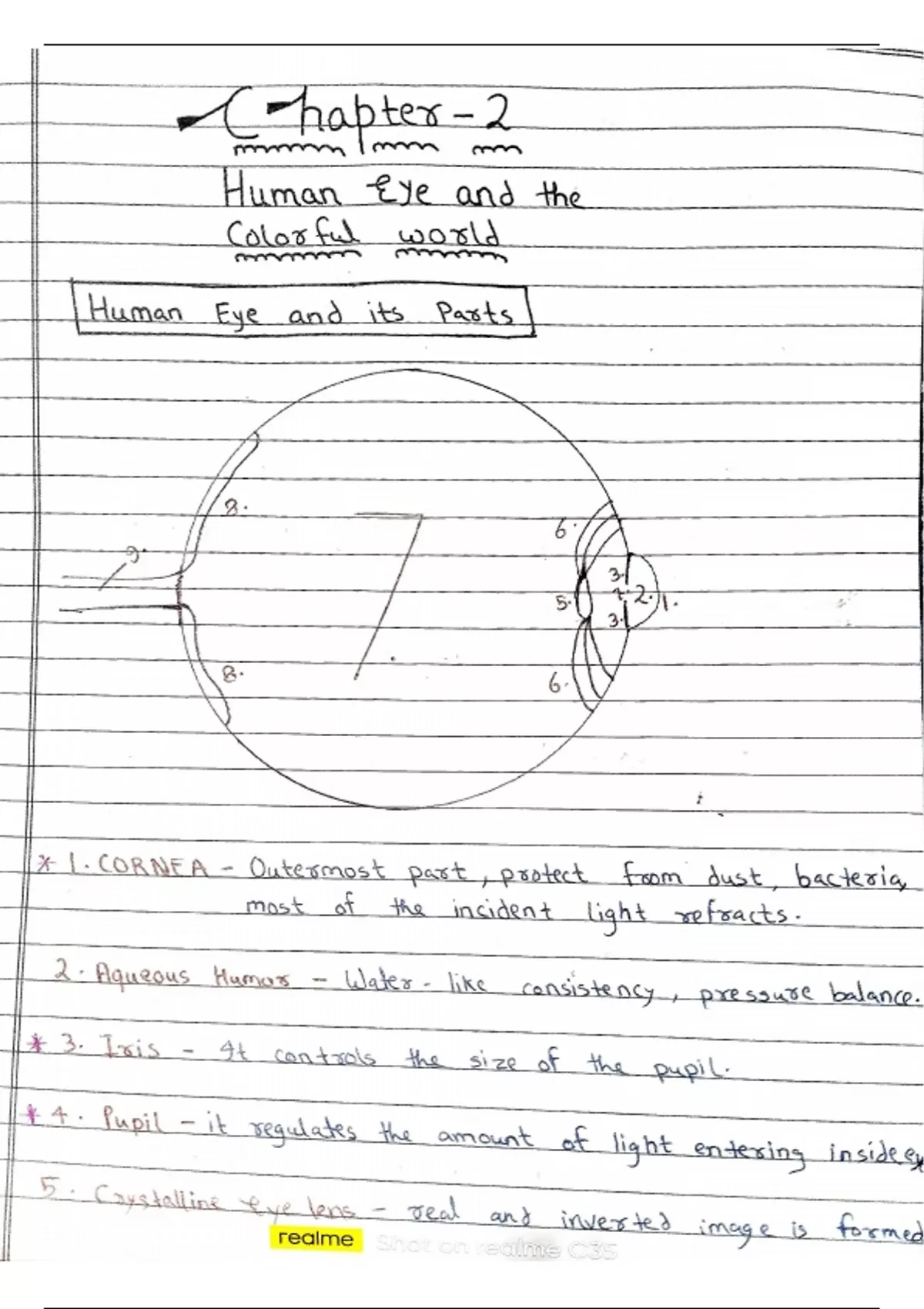 Ch 2 Physics Class 10th Cbse Board Examination Physics Stuvia Us 1702