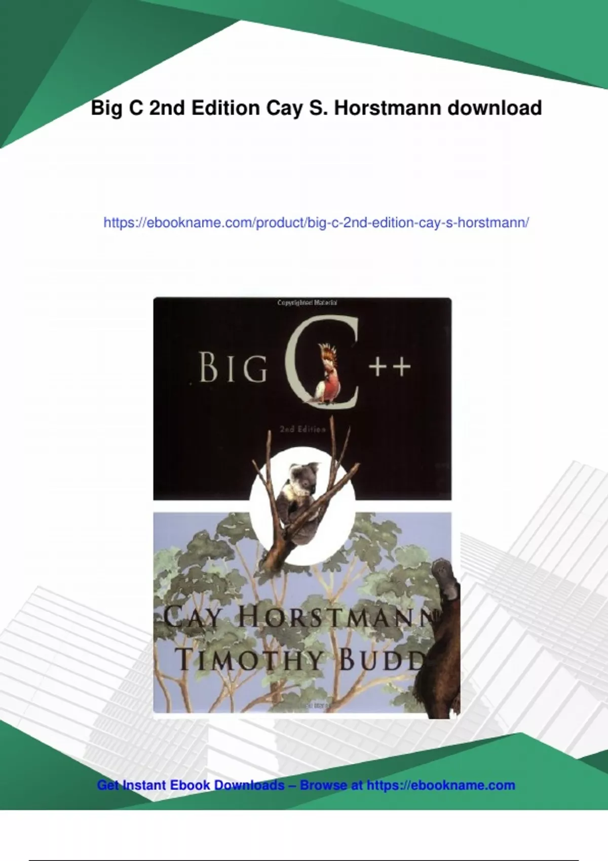 Summary Big C 2nd Edition Cay S. Horstmann - Digital Download ...