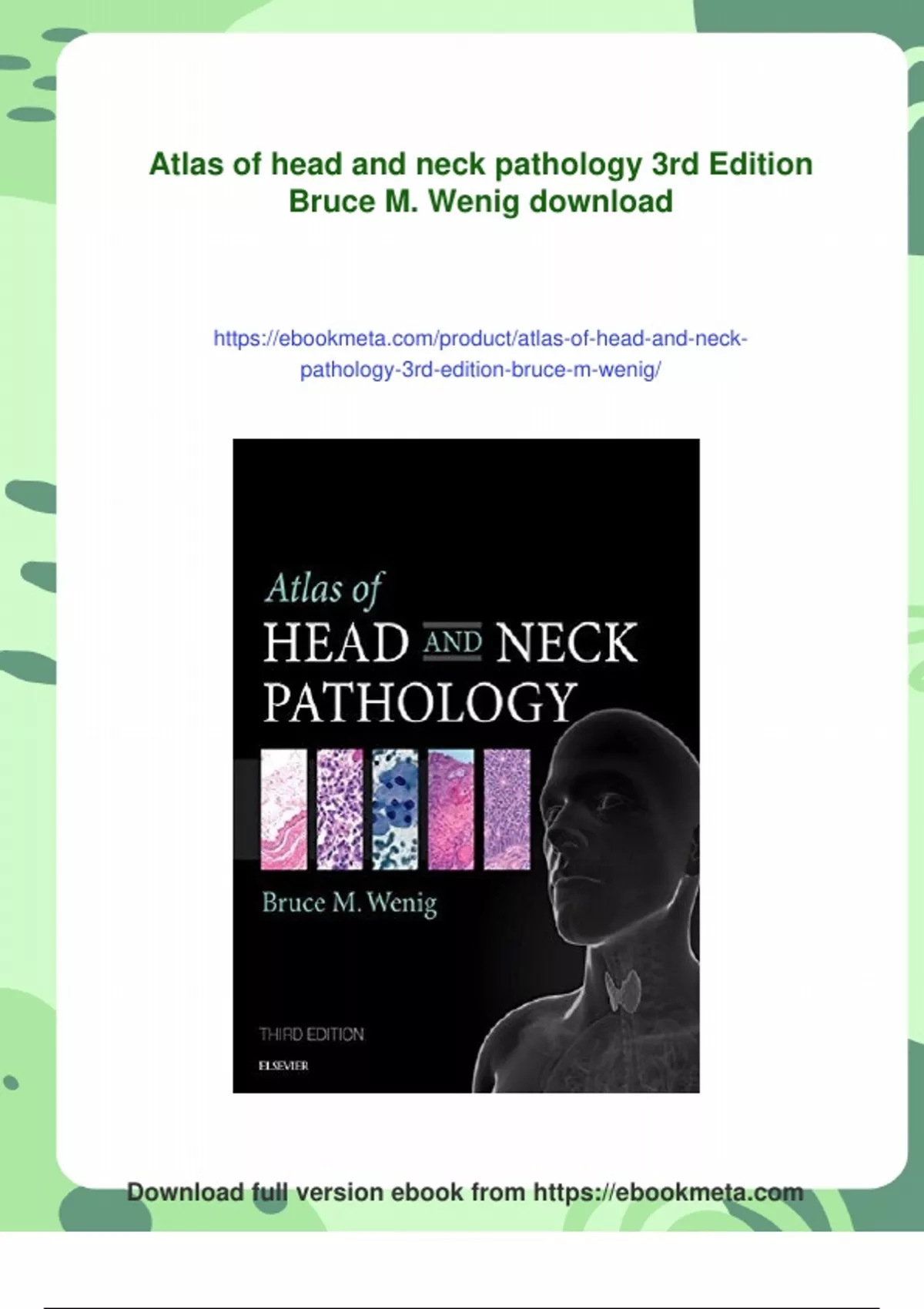 Summary Atlas of head and neck pathology 3rd Edition Bruce M. Wenig ...