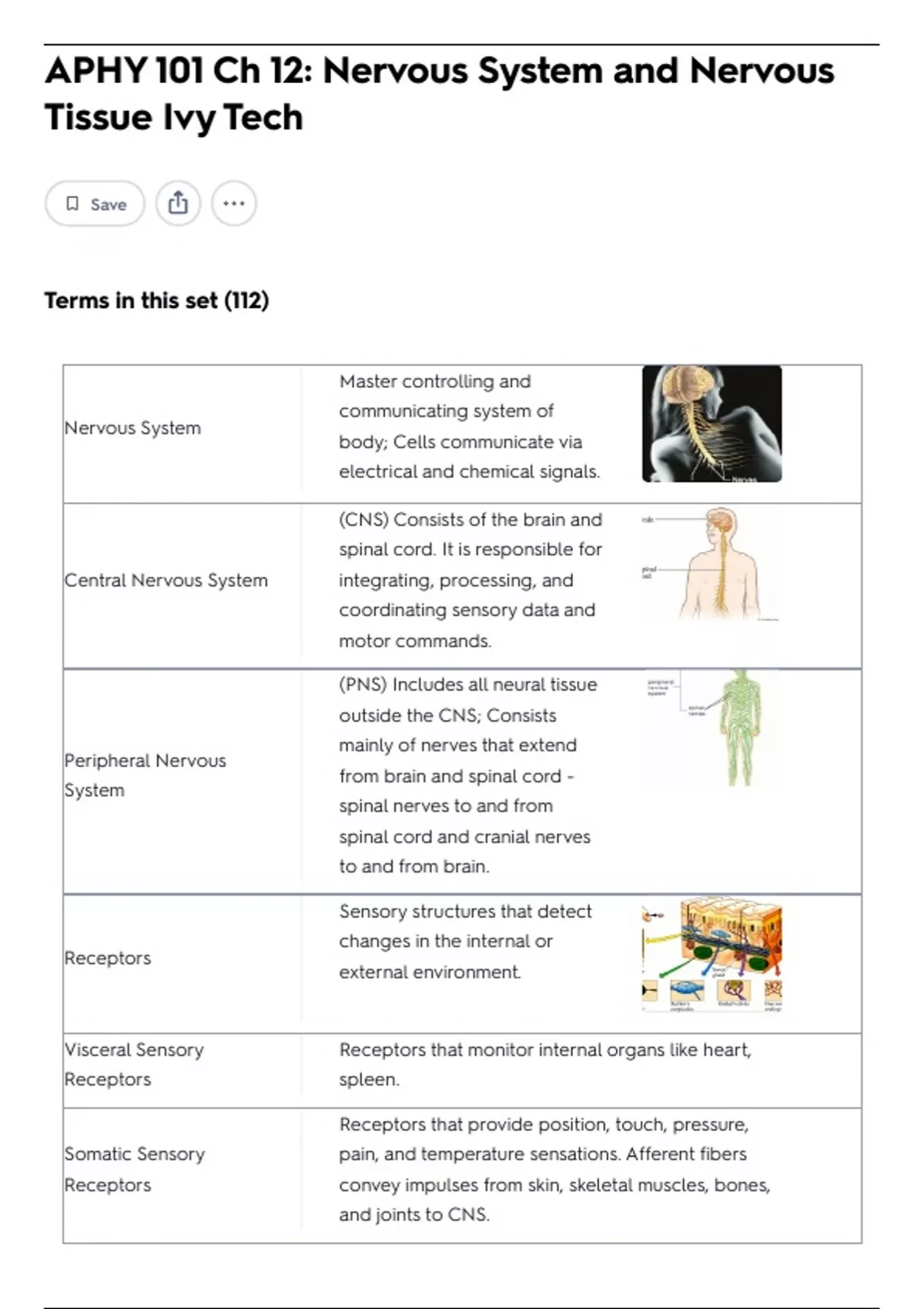 APHY 101 Ch 12: Nervous System and Nervous Tissue Ivy Tech / Certified ...