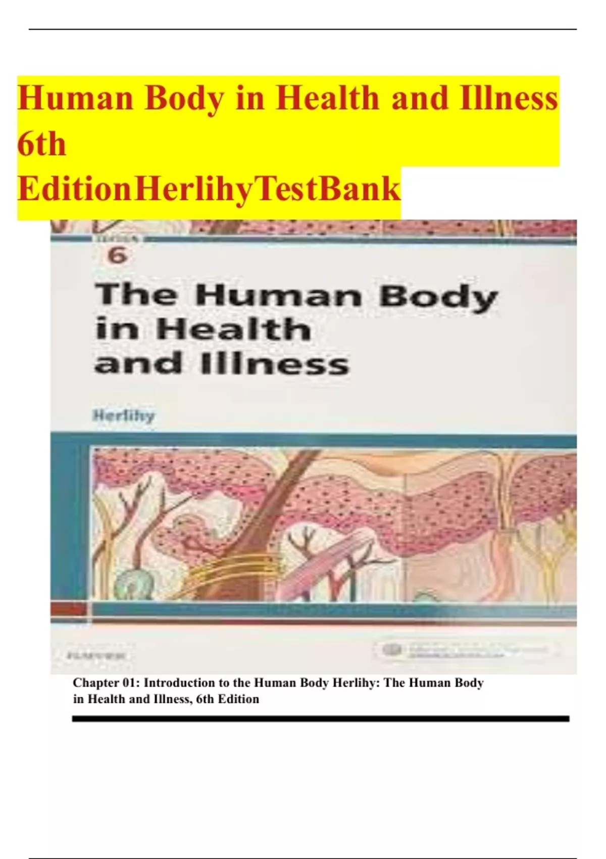The Human Body in Health and Illness, 6th Edition – Herlihy – Test Bank ...