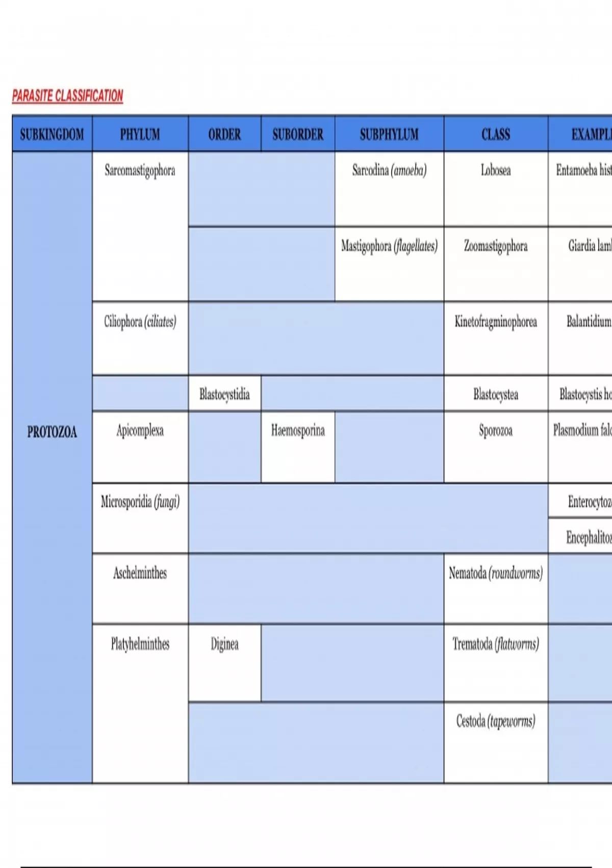Summary [CLINICAL PARASITOLOGY] Parasite Classification (Protozoa ...