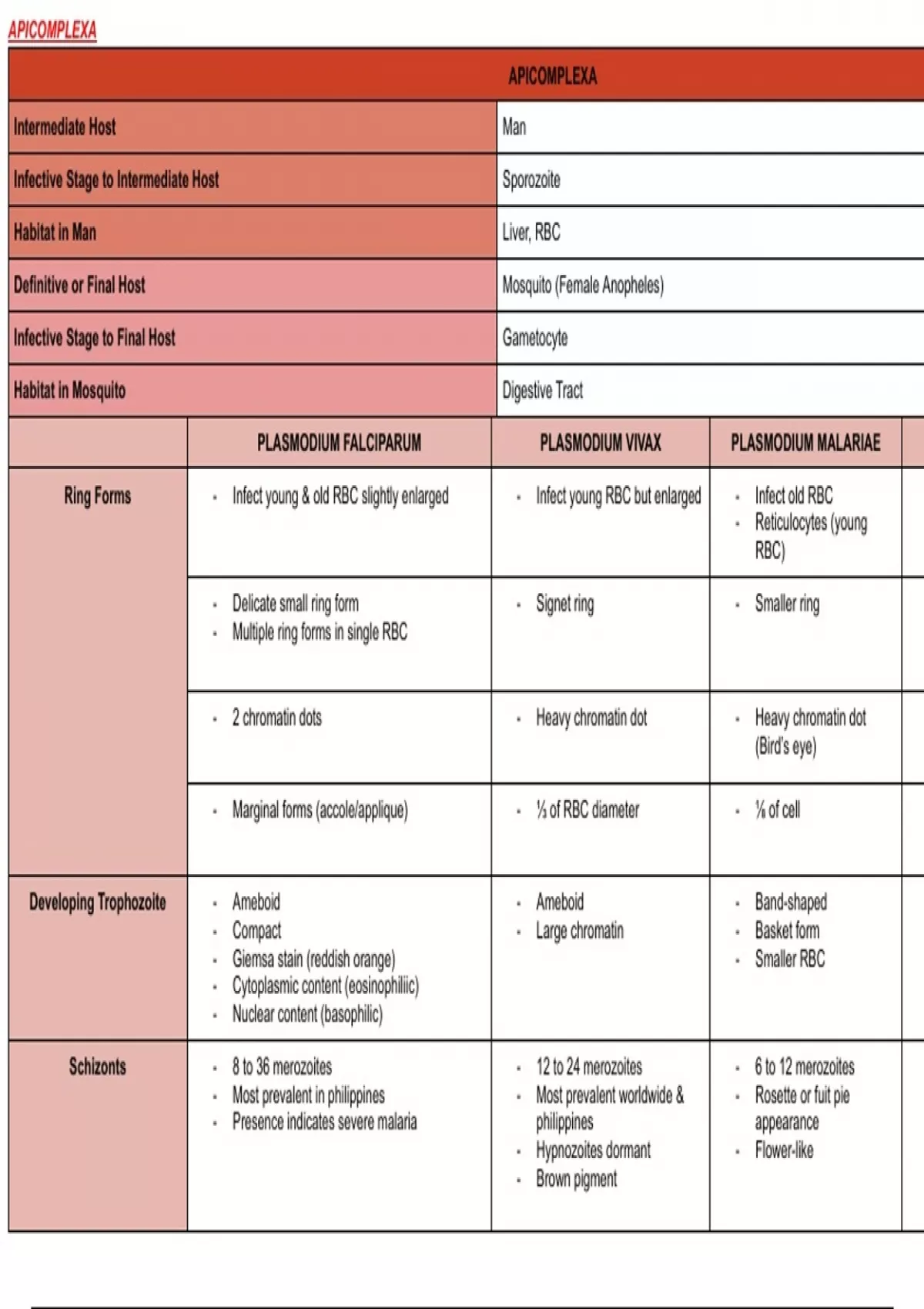 Summary [CLINICAL PARASITOLOGY] Apicomplexa (Babesia, Coccidians ...