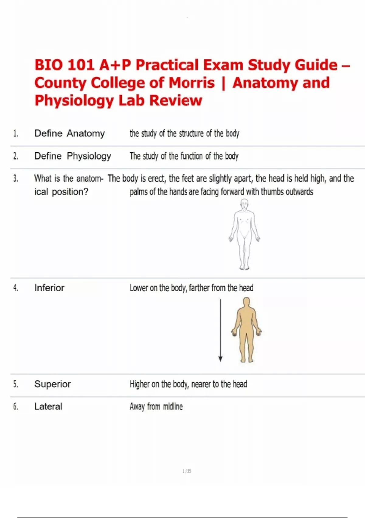 BIO 101 A+P Practical Exam Study Guide – County College of Morris ...