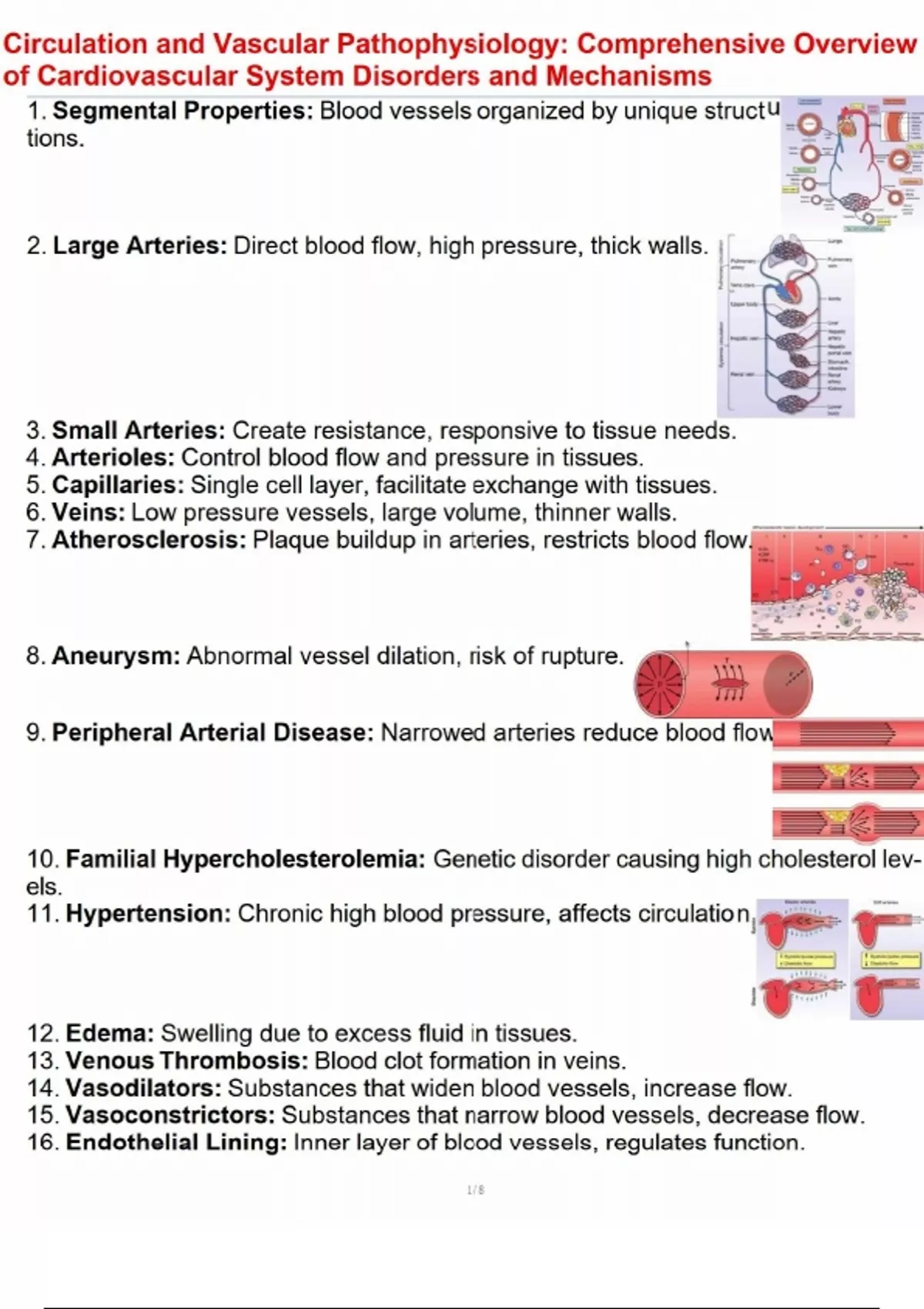 Circulation and Vascular Pathophysiology Comprehensive Overview of ...