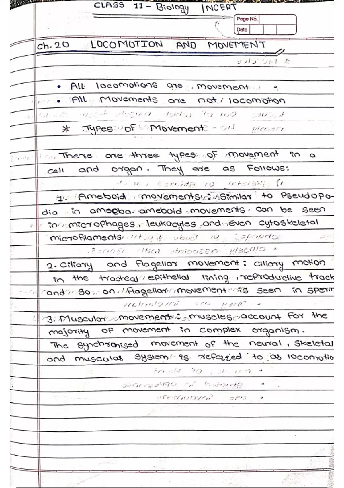 Class notes Biology NCERT Class 11 biology , locomotion and movement ...