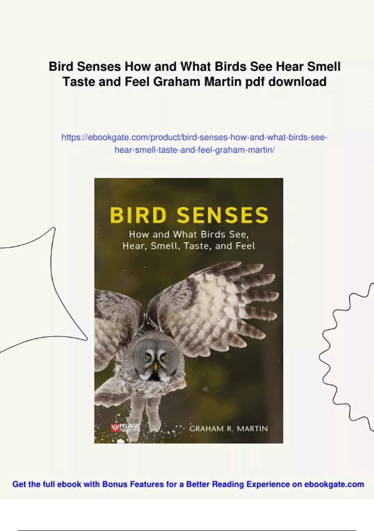 Summary Bird Senses How and What Birds See Hear Smell Taste and Feel ...