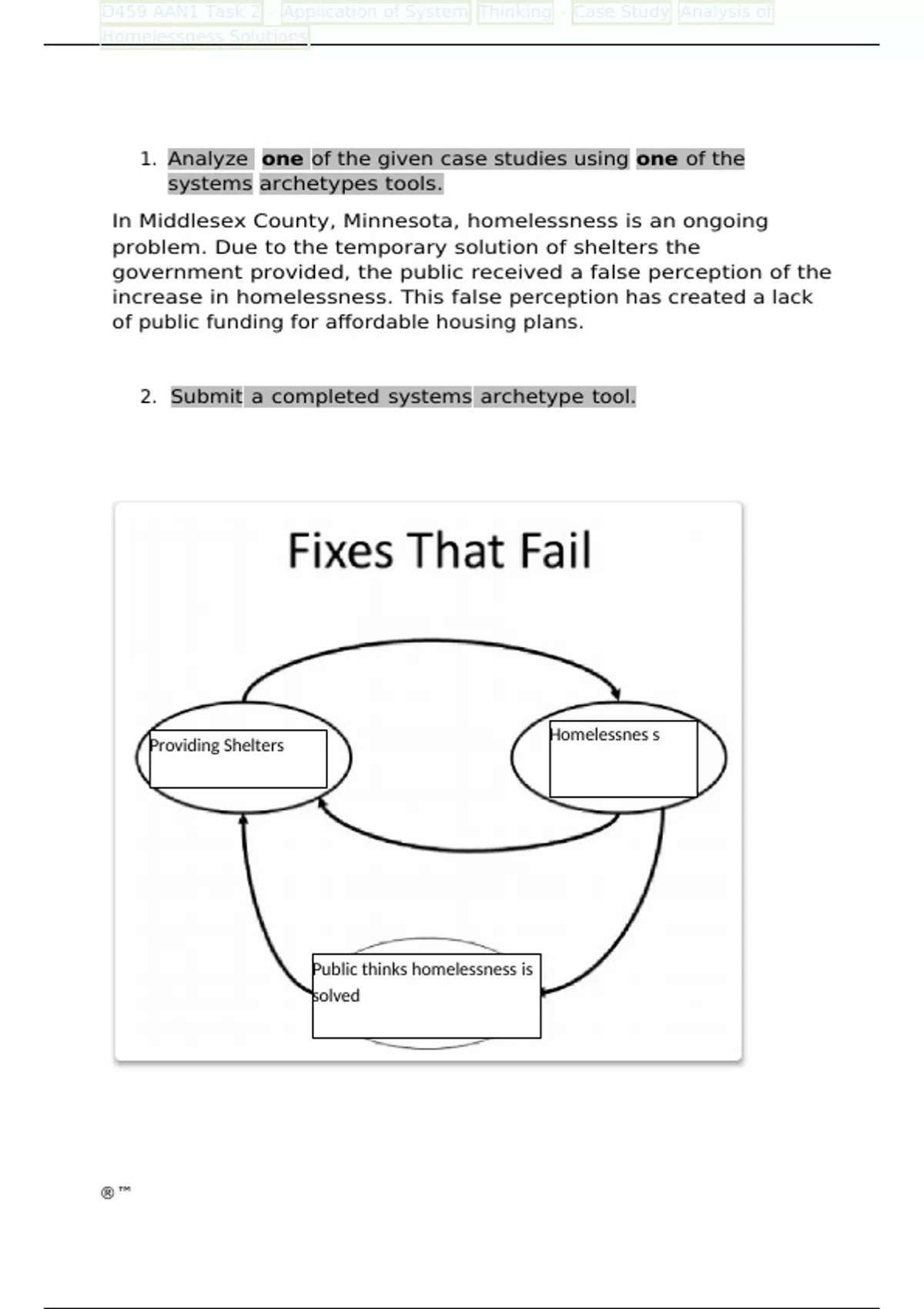 D459 AAN1 Task 2 - Application of System Thinking - Case Study Analysis ...