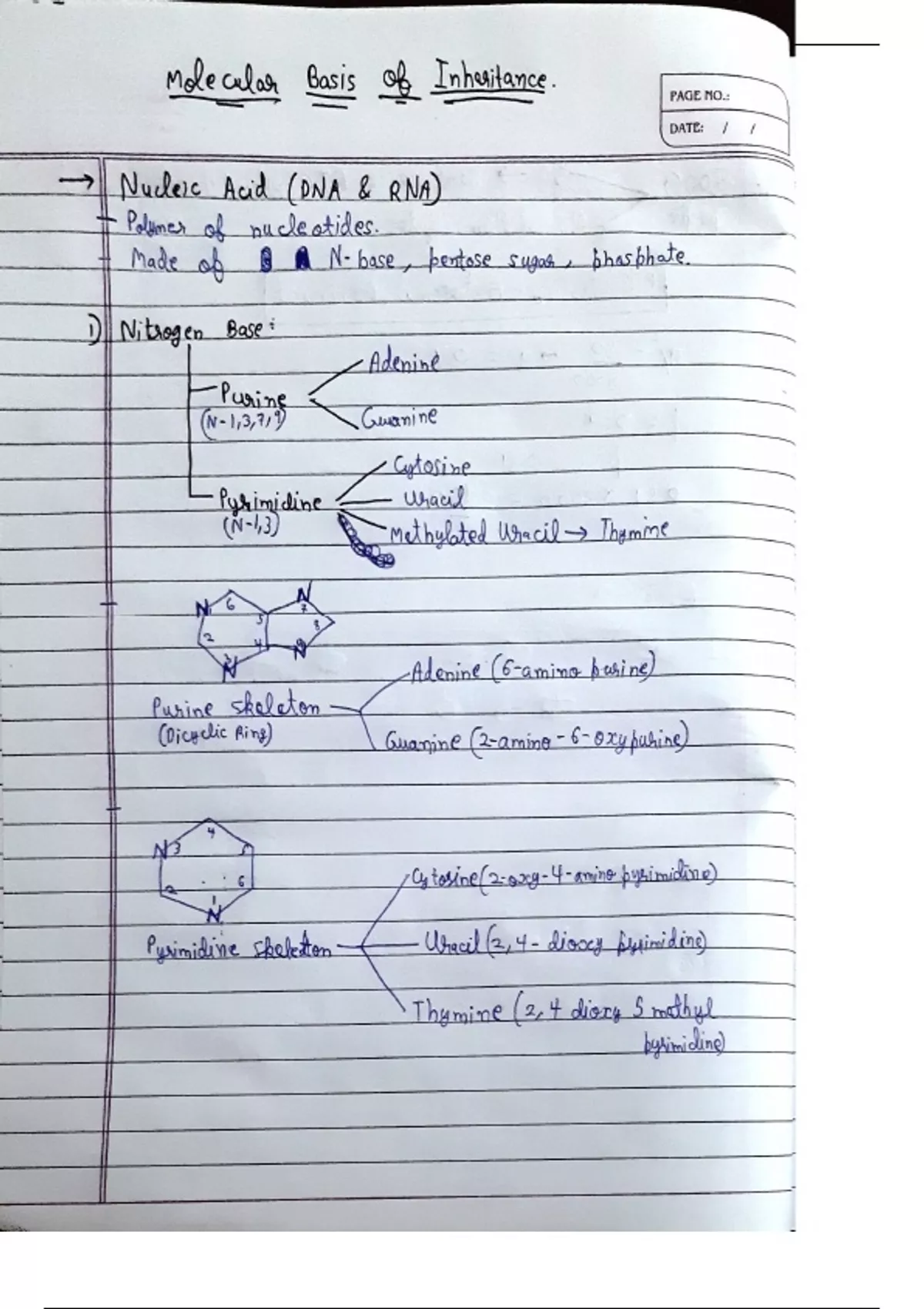 Molecular Basis of Inheritance – Ultimate Notes on DNA Structure ...
