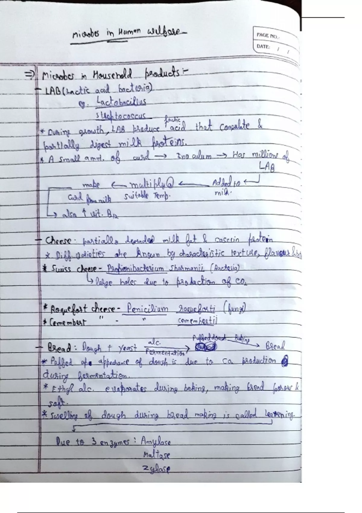 Microbes in Human Welfare – Complete Notes on Antibiotics ...