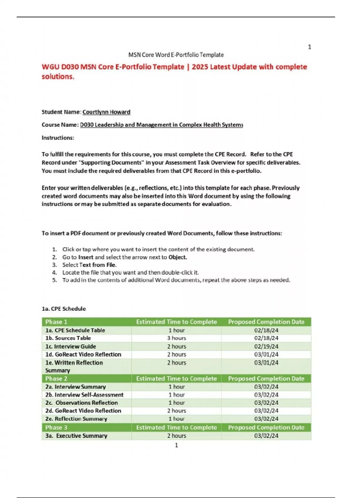 WGU D030 MSN Core E-Portfolio Template | 2025 Latest Update with ...