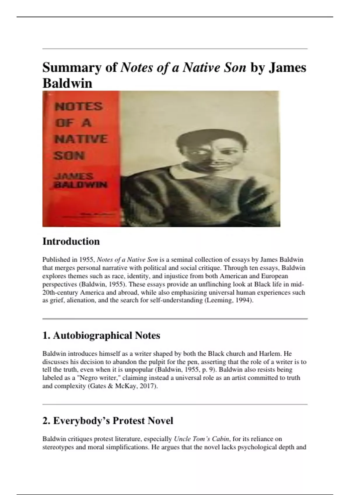Summar of Notes of A Native Son by James Baldwin - English - Stuvia US