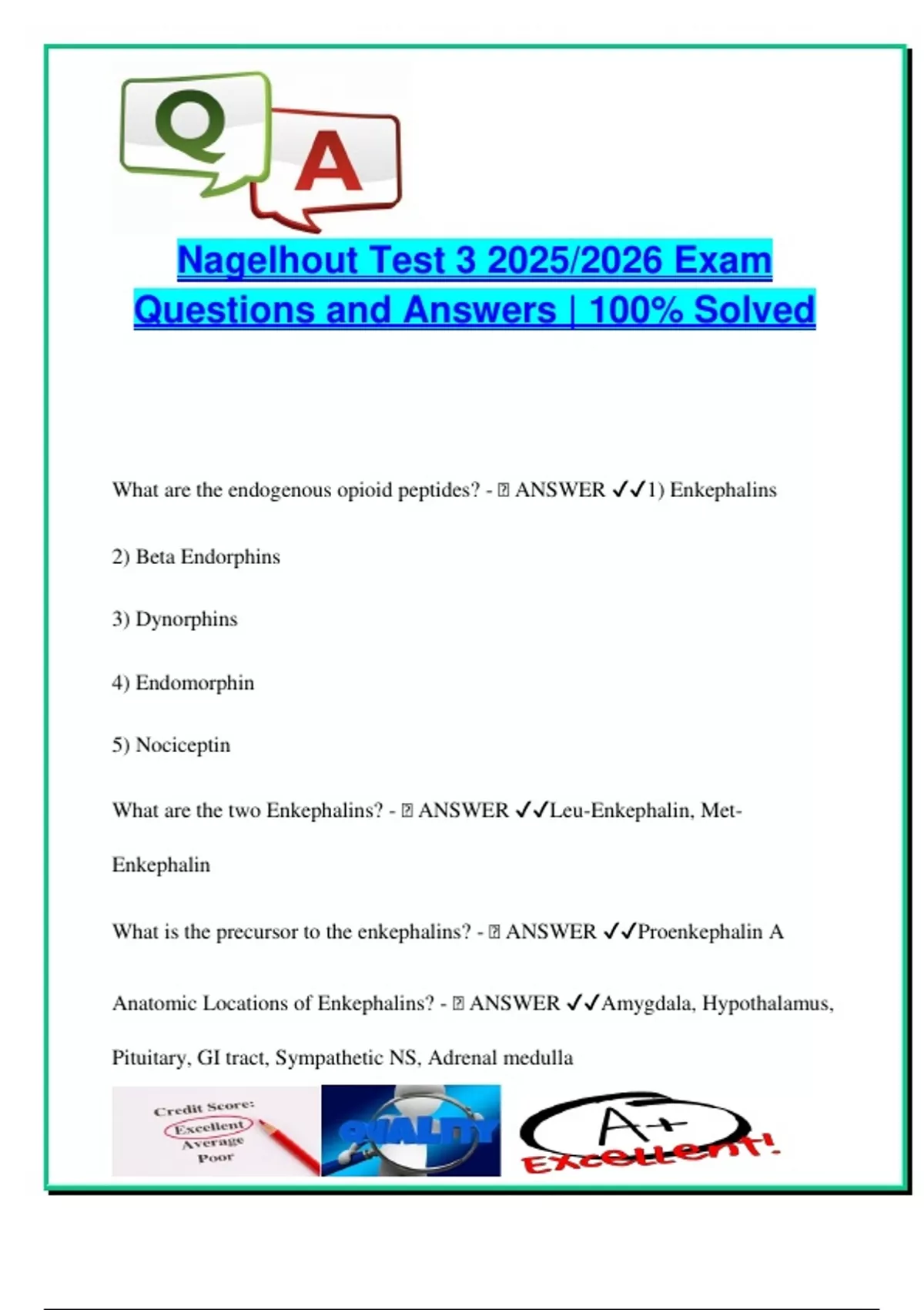 Nagelhout Test 3 Review 2025/2026 – 200+ Solved Questions on Opioids ...